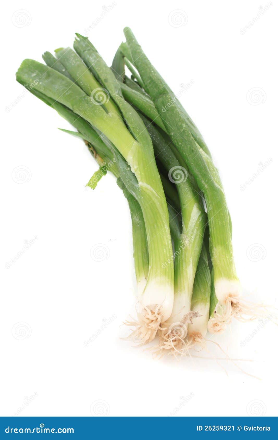 Groene uien stock afbeelding. Image of groen, bollen - 26259321