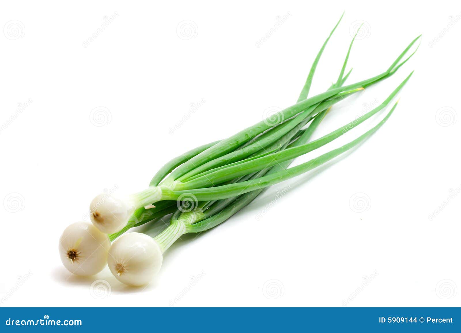 Groene uien stock foto. Image of geïsoleerd, ingrediënt - 5909144