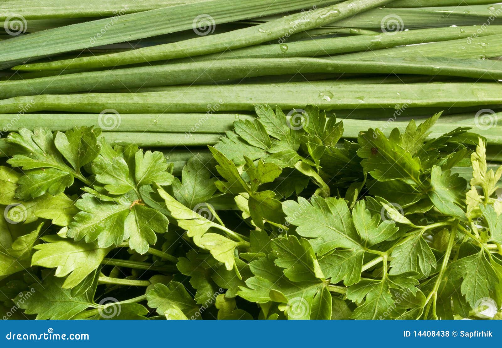Groene Uien, Groene Knoflook En Peterselie Stock Foto - Image of ...