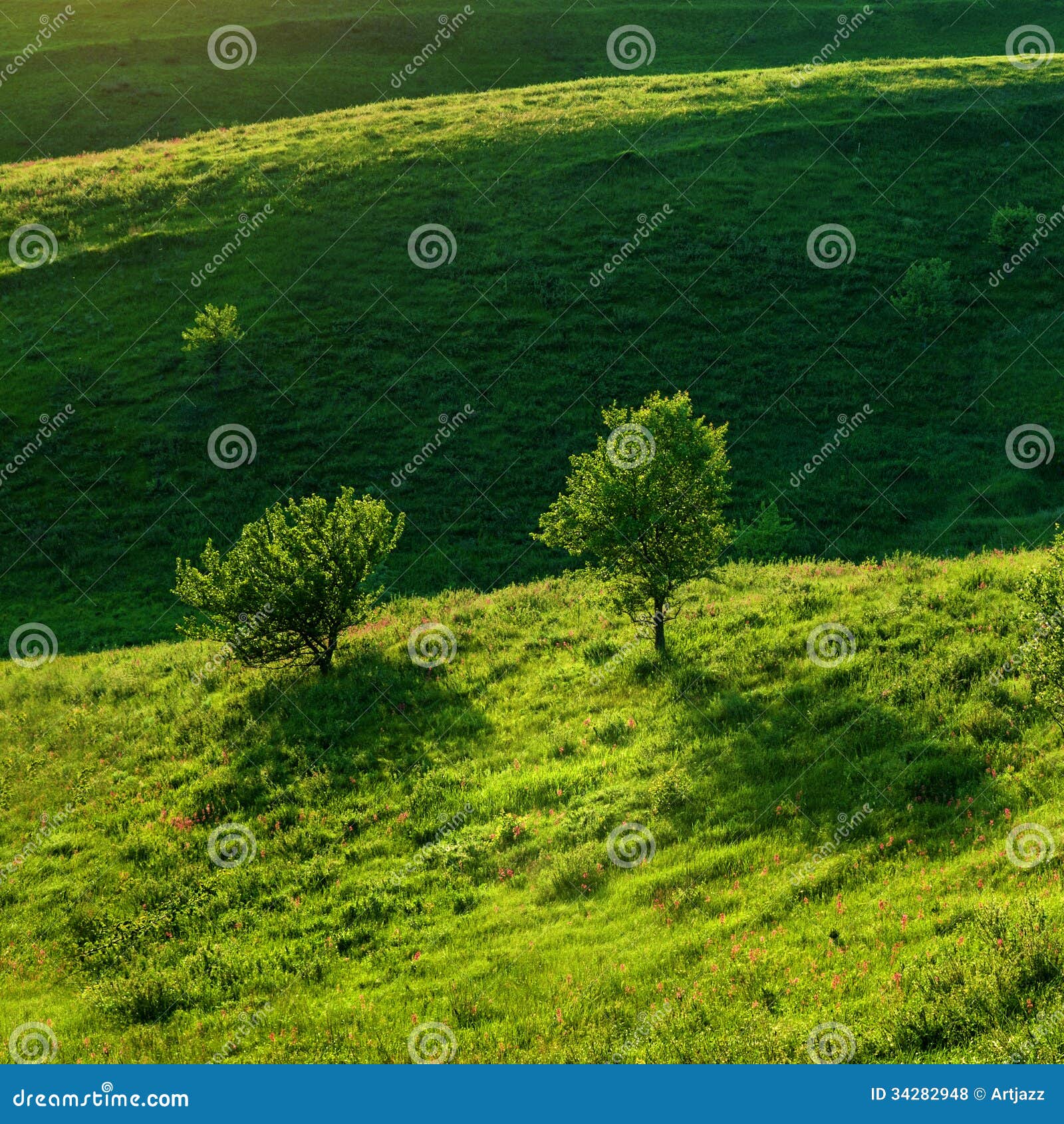 Groene weide en bomen stock foto. Image of mooi, eenzaam - 34282948