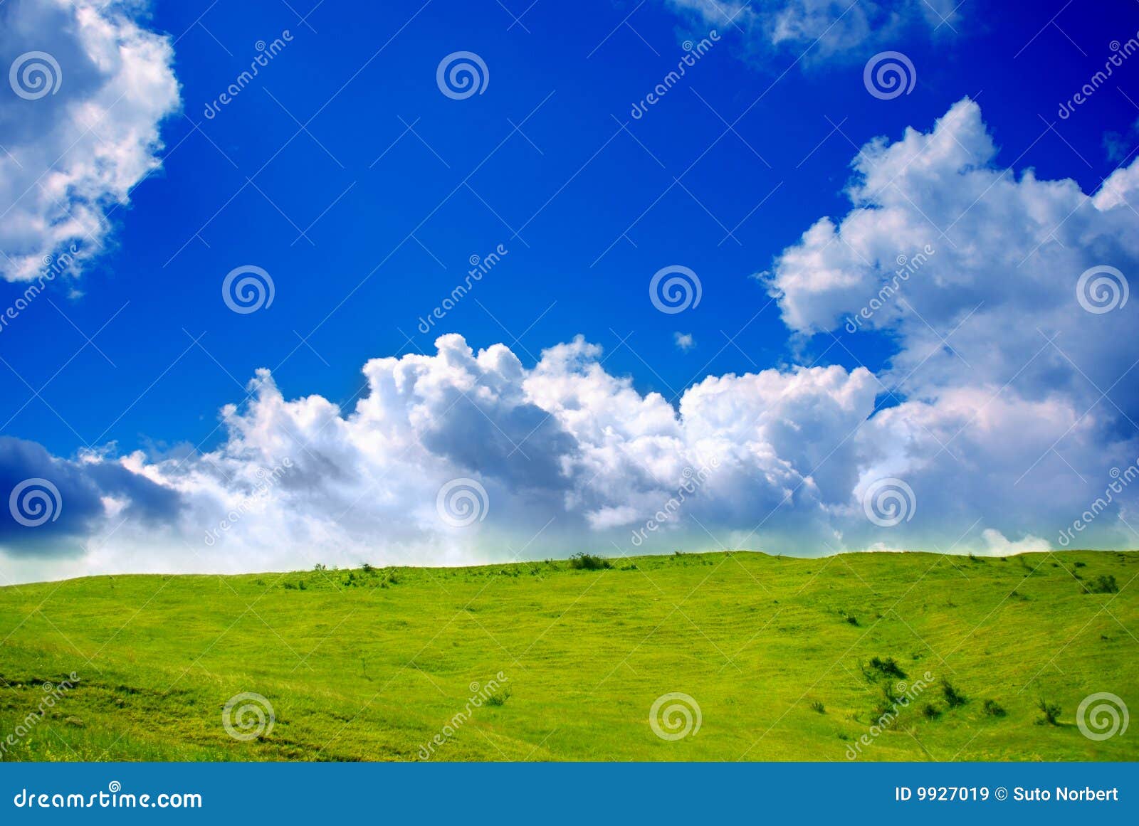 Groene Weide En Wolken Picture. Image: 9927019