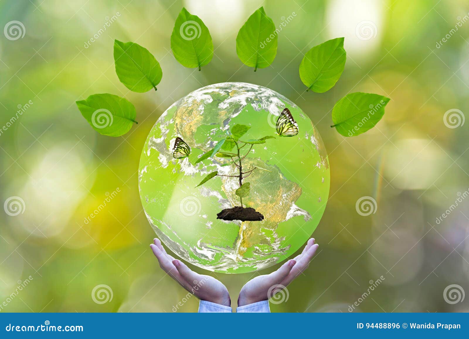 Groene Wereld En Vlinder in Mensenhand, Stock Foto - Image of leven ...