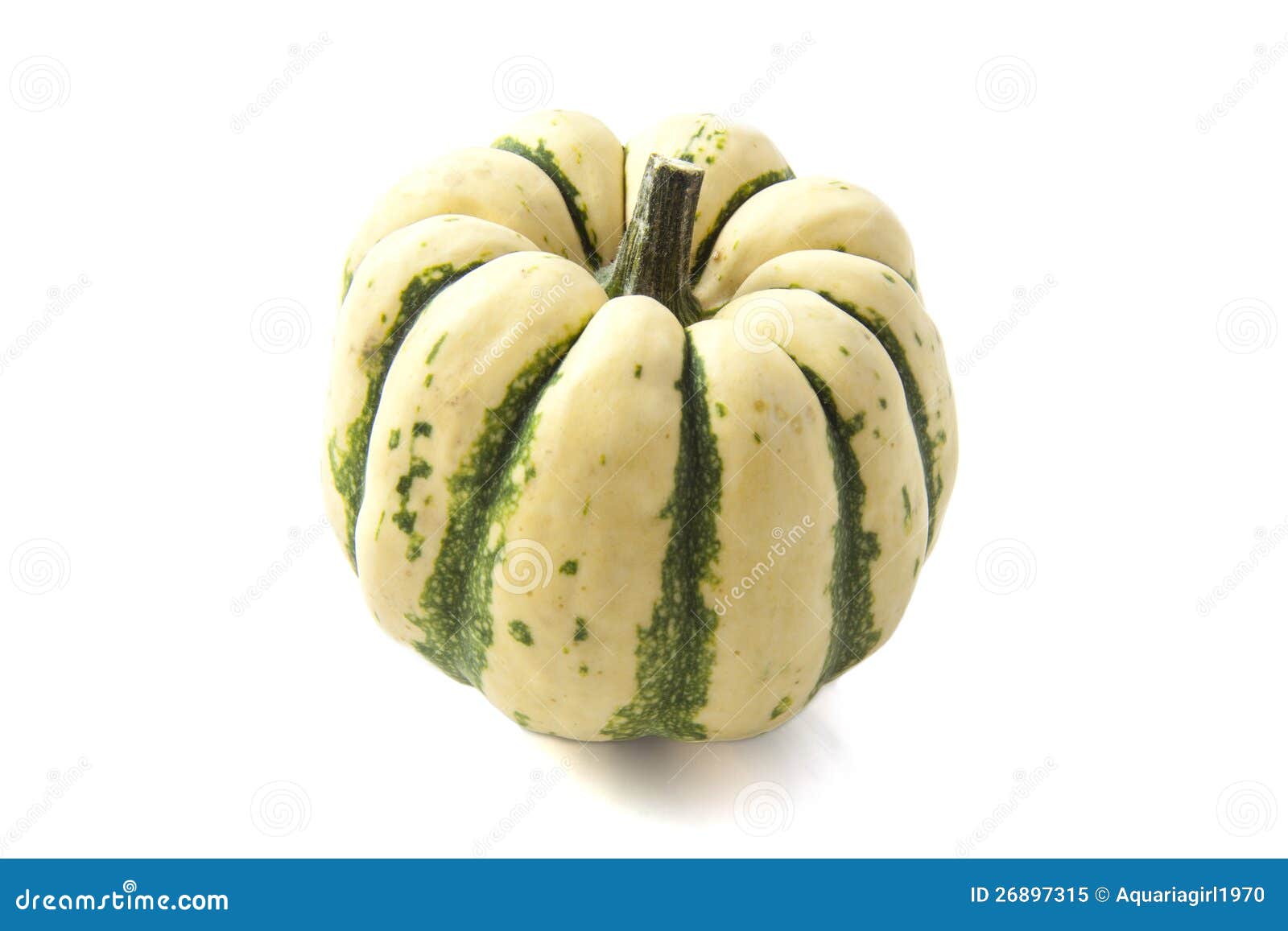 Groene witte pompoen stock afbeelding. Image of decoratie - 26897315