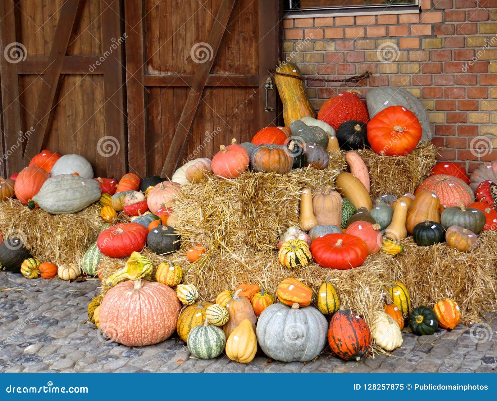 Groente, De Winterpompoen, Cucurbita, Opbrengst Picture. Image: 128257875