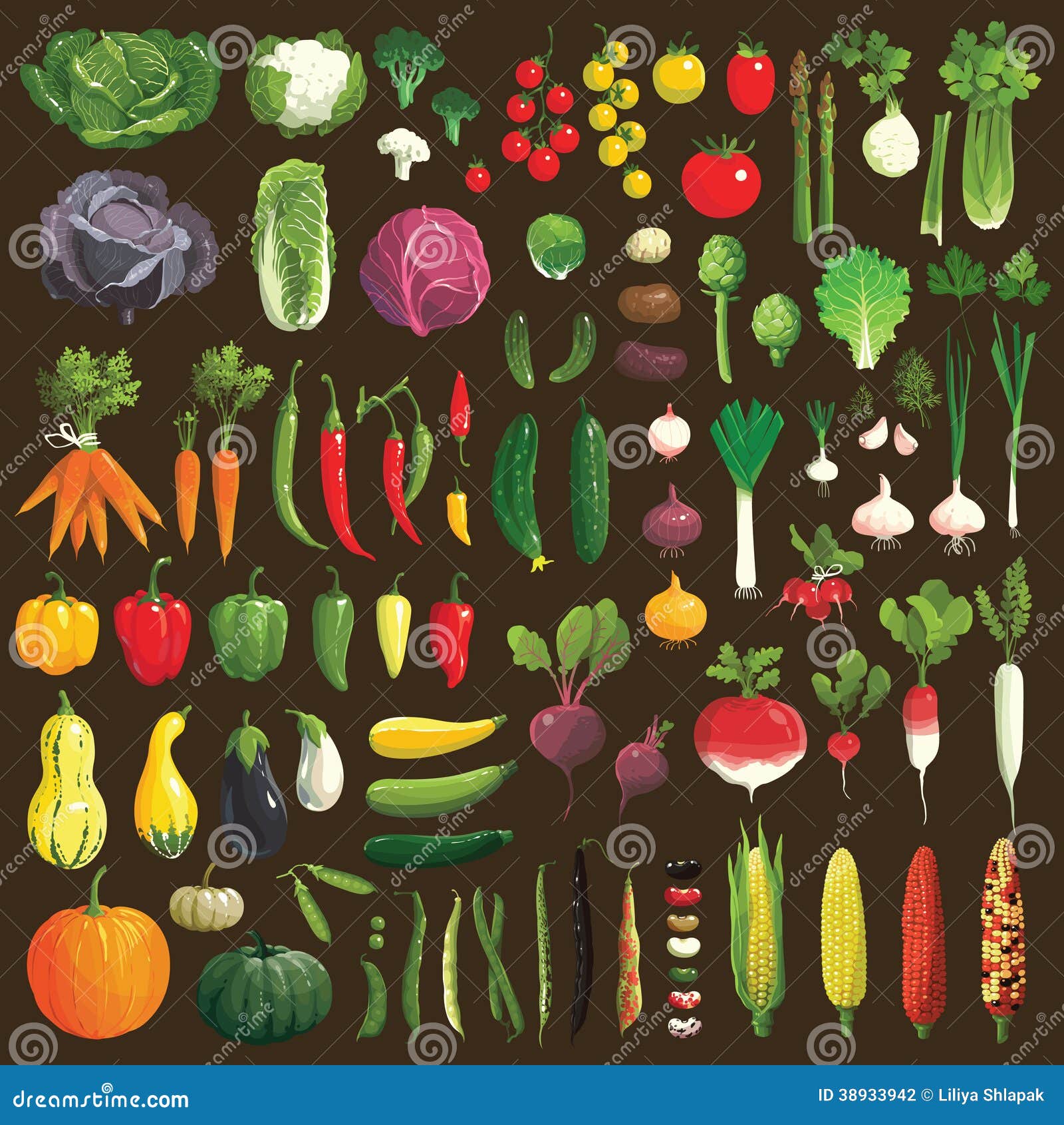 Groenten vector illustratie. Illustration of brussel - 38933942