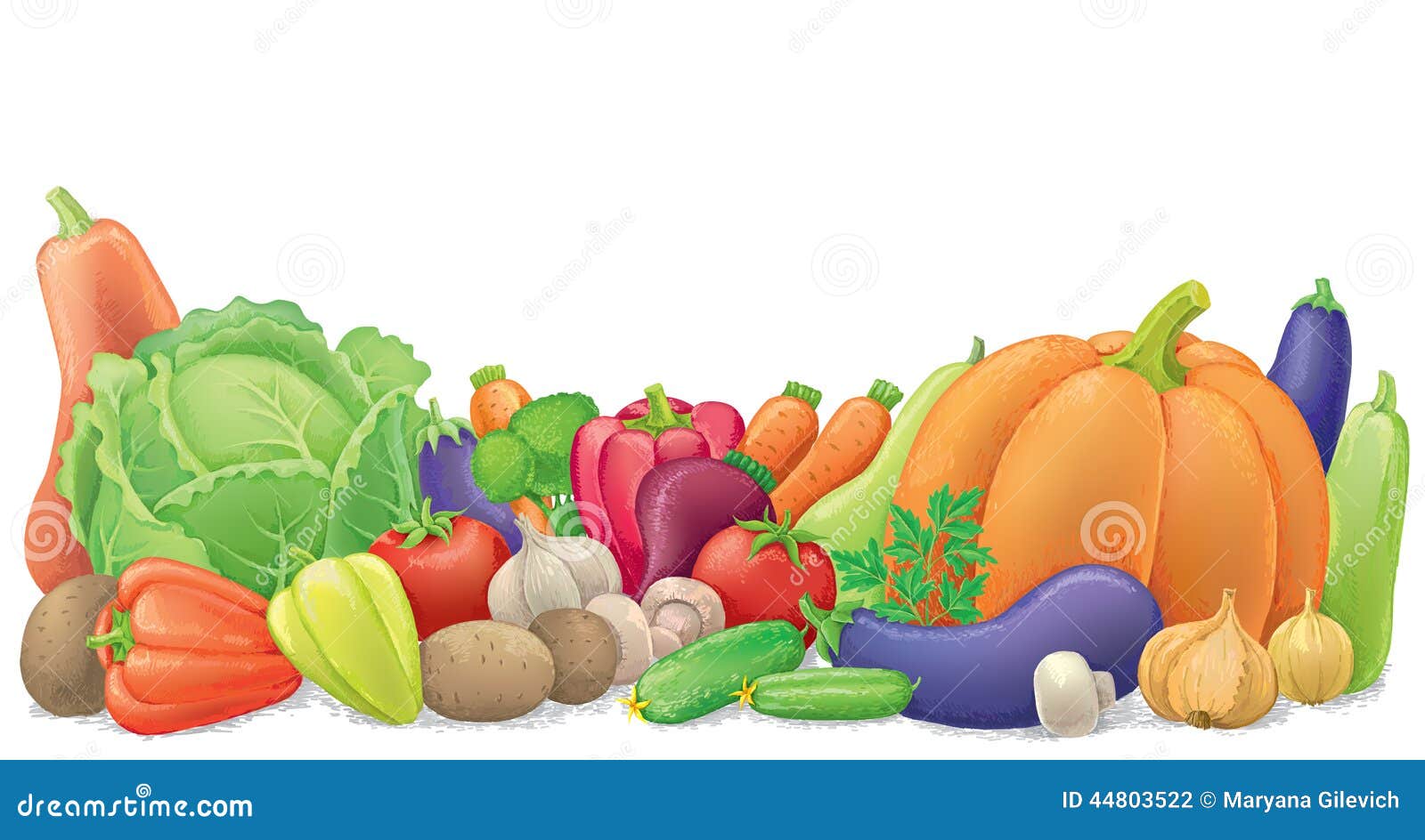 Groenten vector illustratie. Illustration of aubergine - 44803522