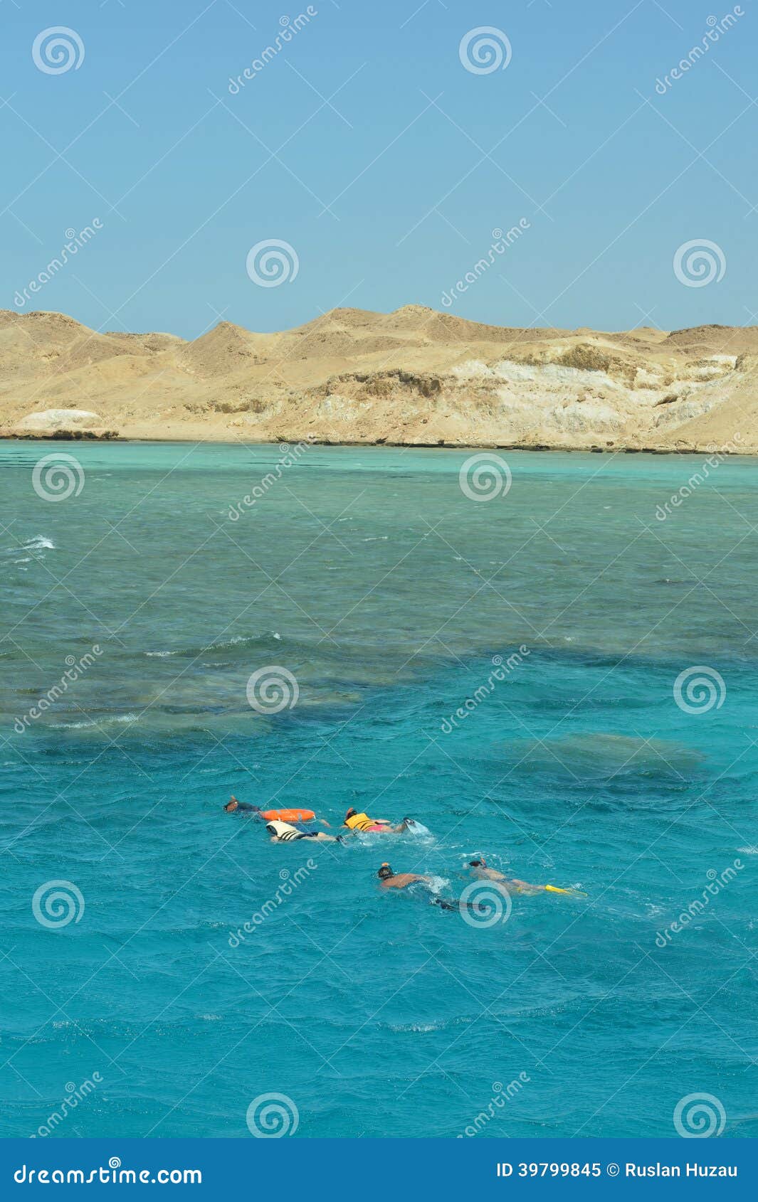 Groep het diverse zwemmen stock afbeelding. Image of zwem - 39799845