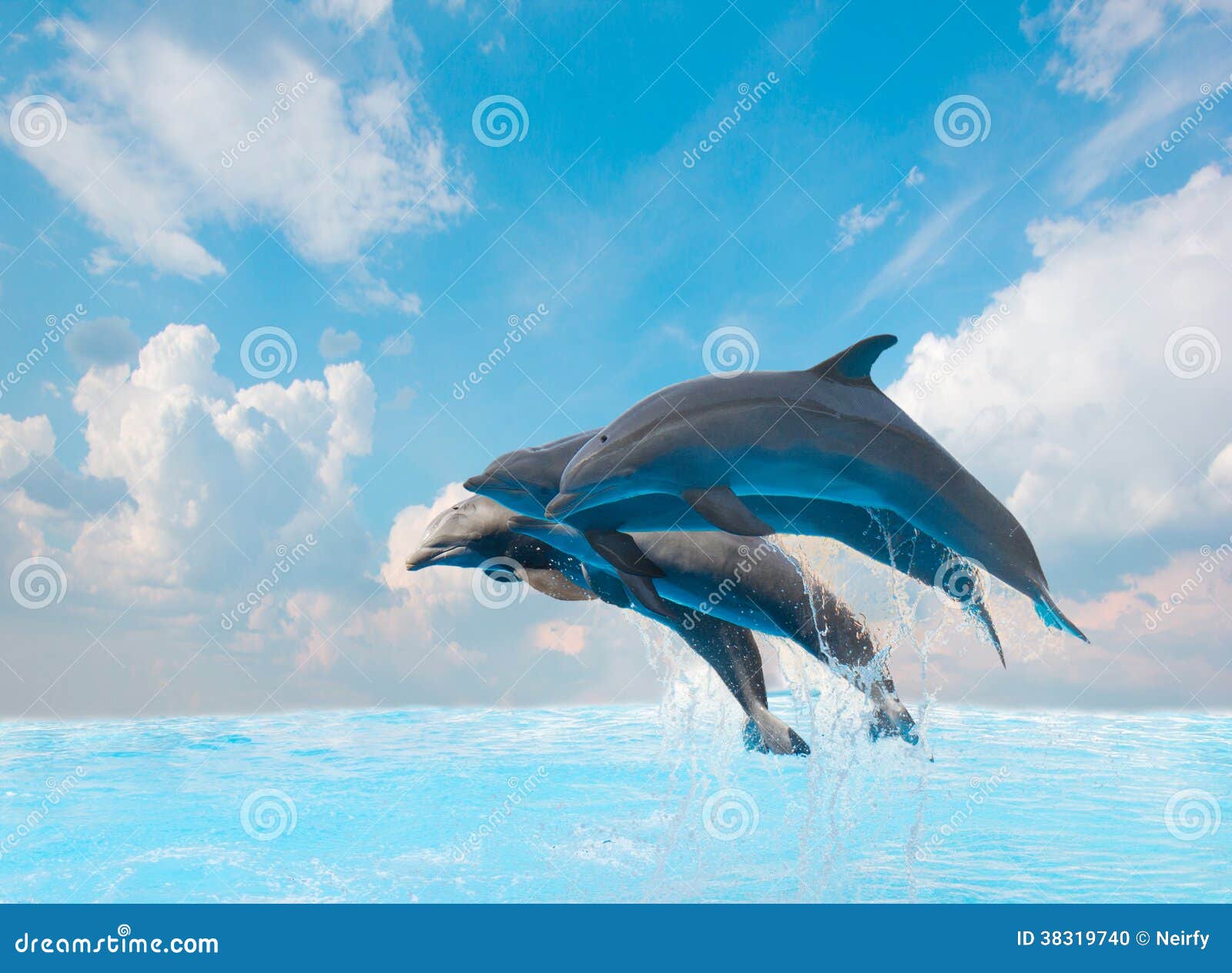 Groep Het Springen Dolfijnen Stock Foto - Image of zomer, eiland: 38319740