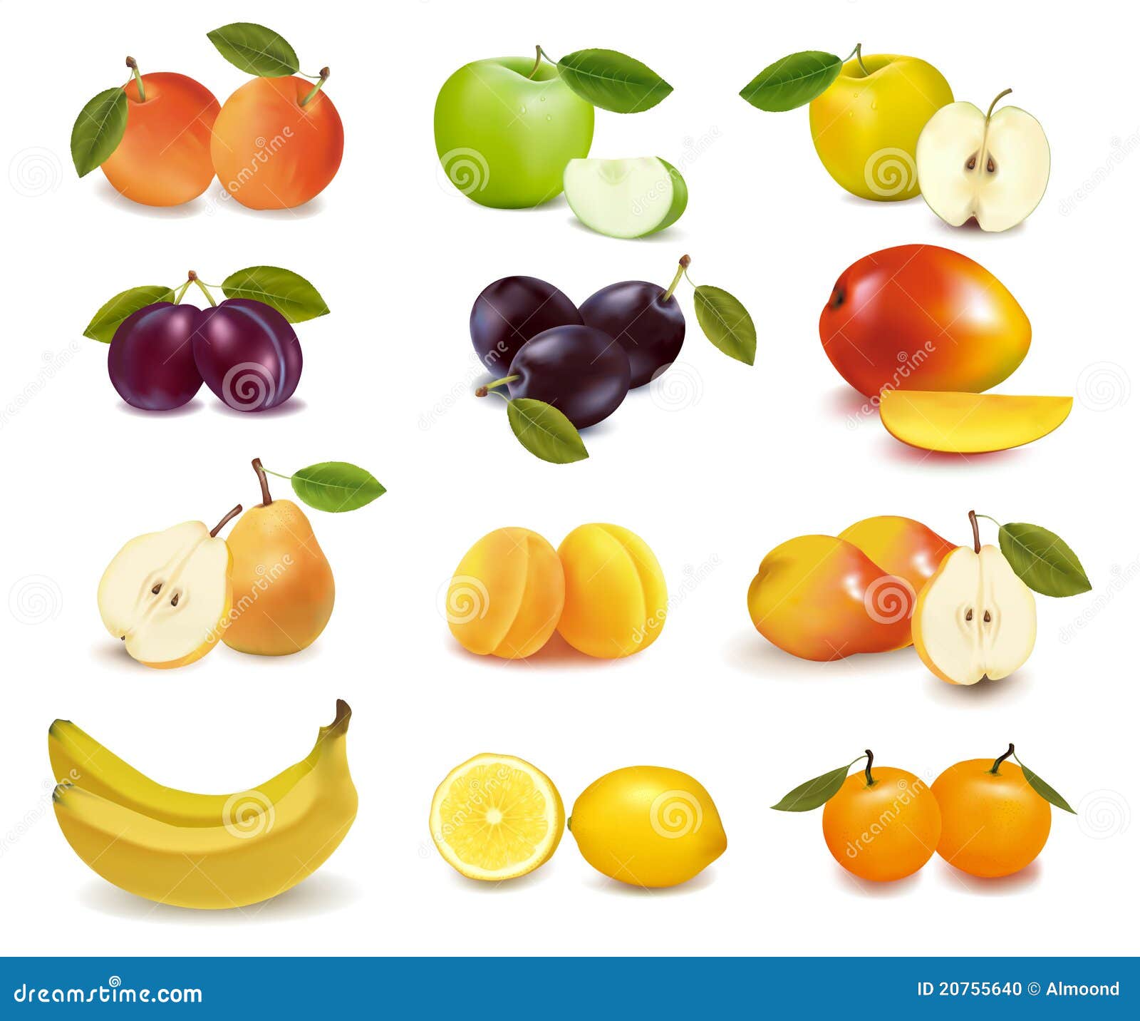 Groep Met Verschillende Soorten Fruit. Vector Illustratie ...