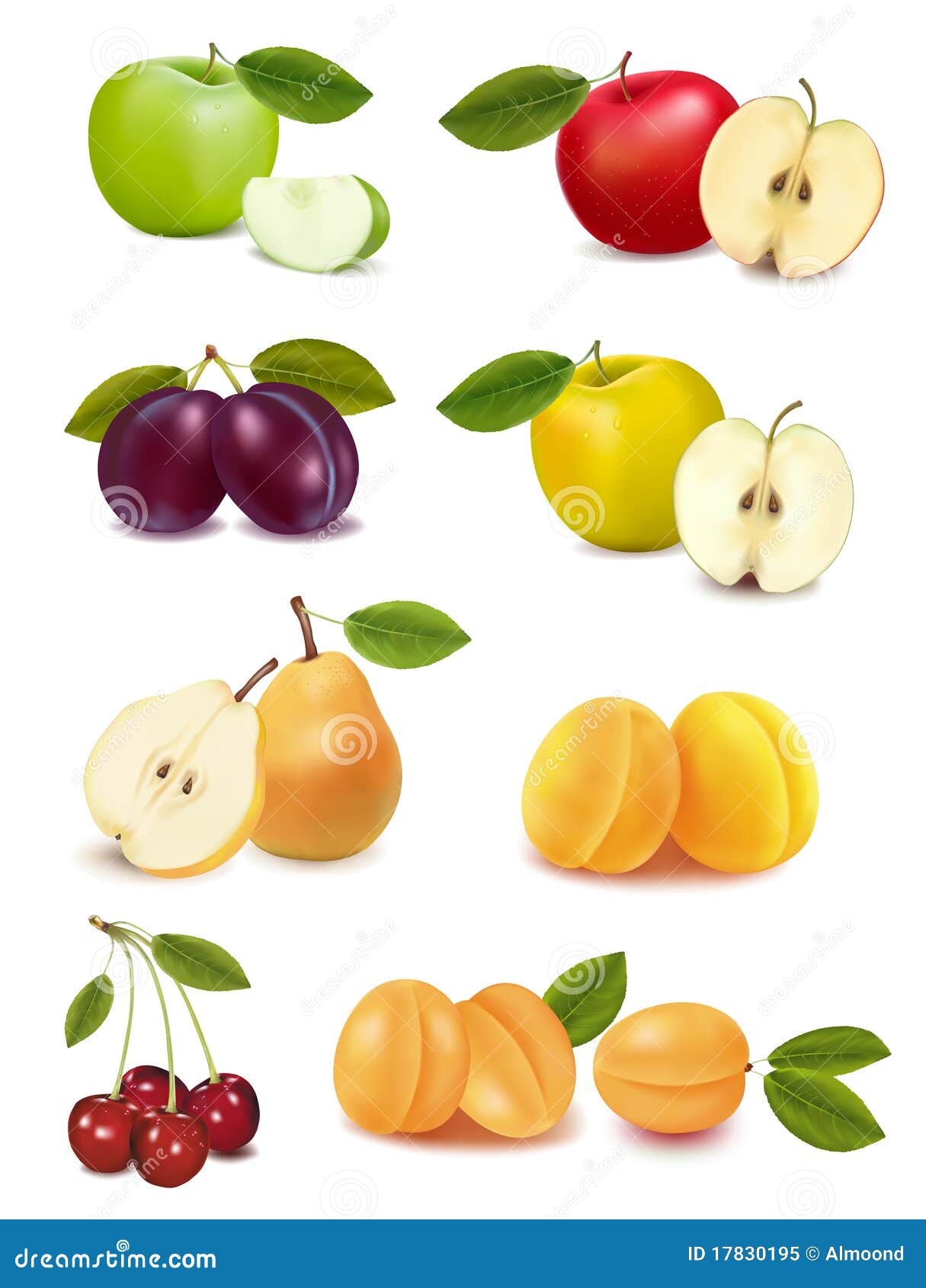 Groep Met Verschillende Soorten Fruit. Vector Vector Illustratie ...