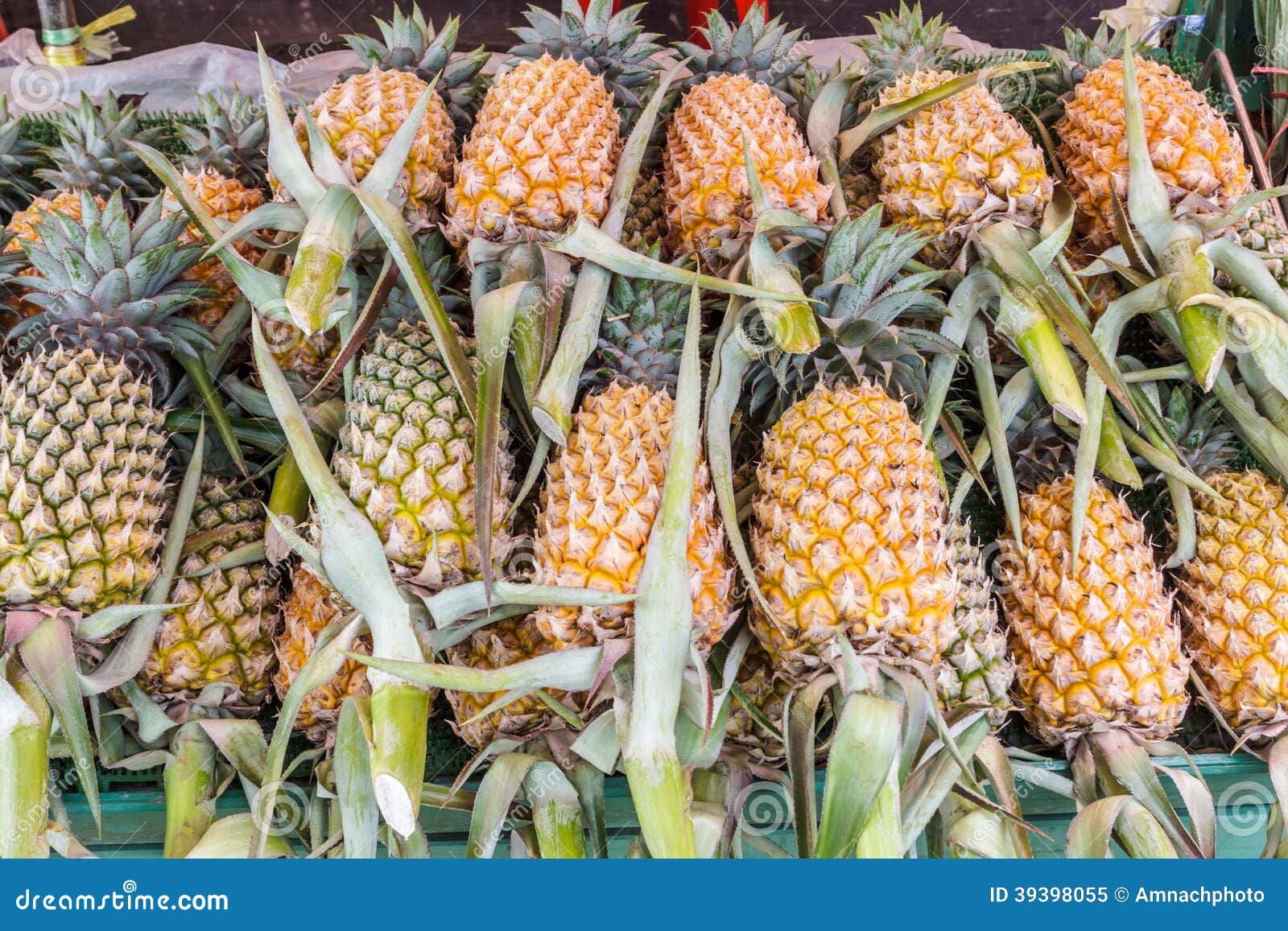 Groep Verse Ananas (ananases). Stock Afbeelding - Image of stam ...