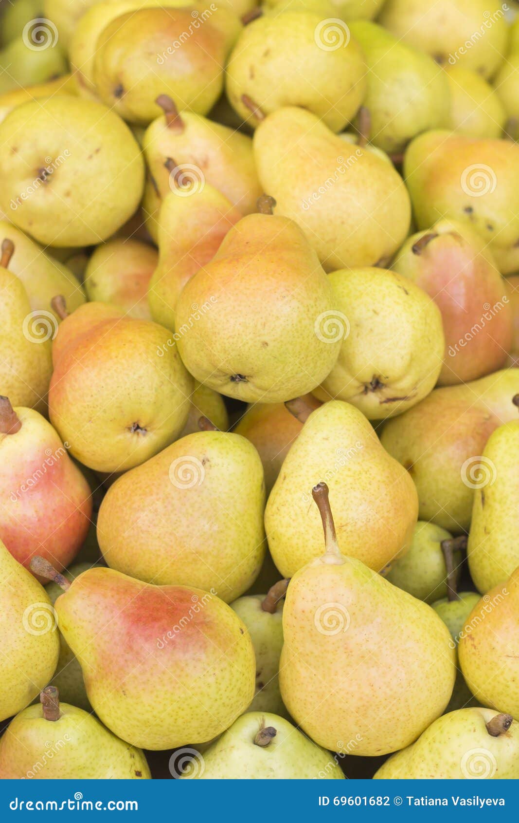 Groep verse gele peren stock foto. Image of gezond, nave - 69601682