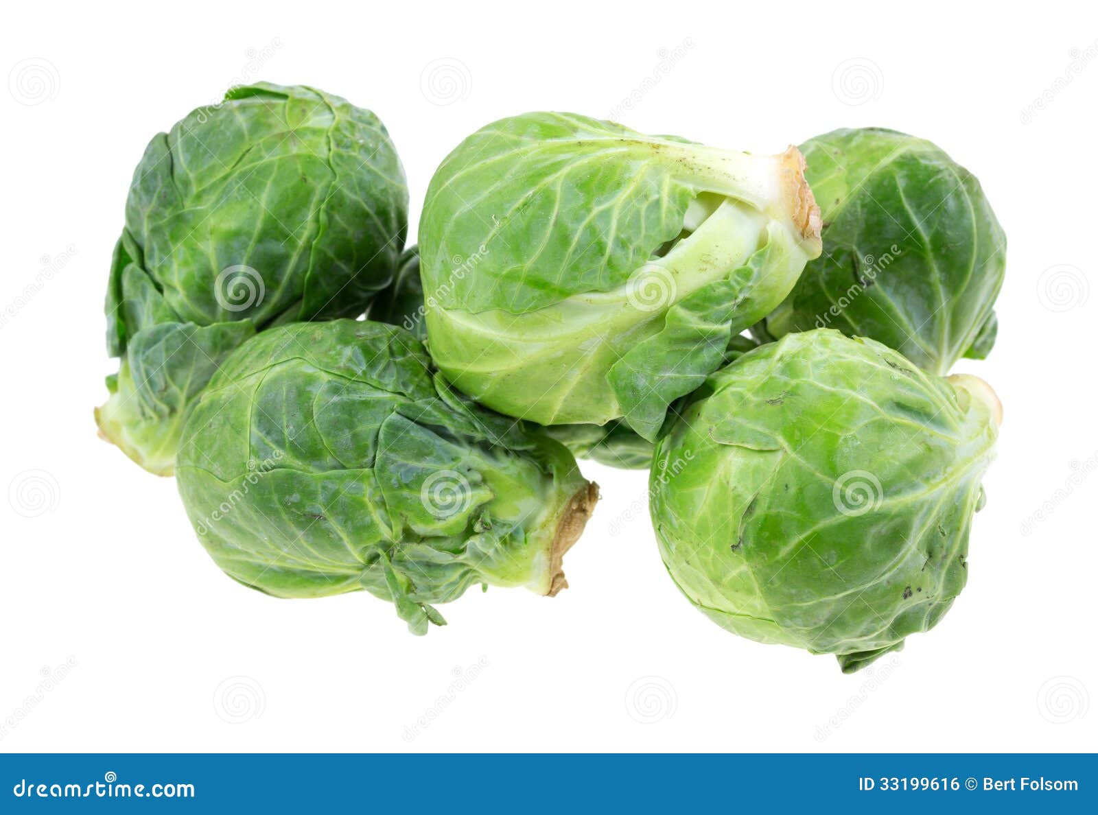 Groep Verse Spruitjes Op Witte Achtergrond Stock Foto - Image of ...