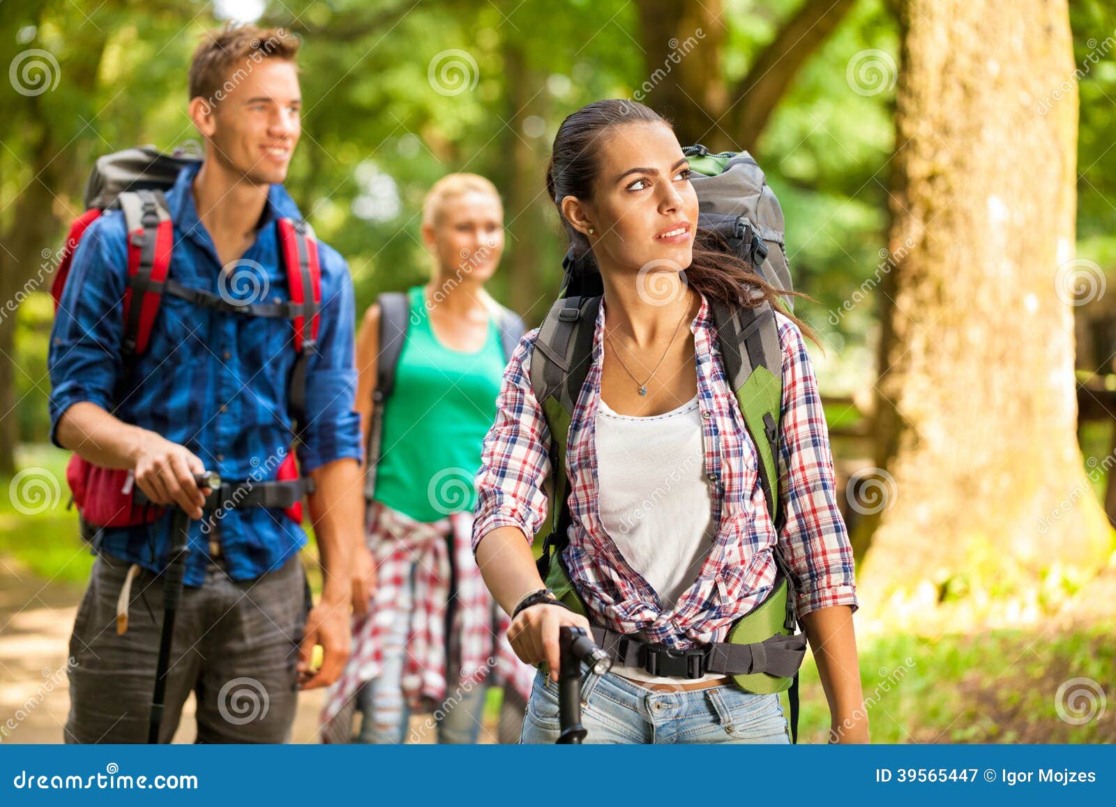 Groep vrienden wandeling stock afbeelding. Image of milieu - 39565447