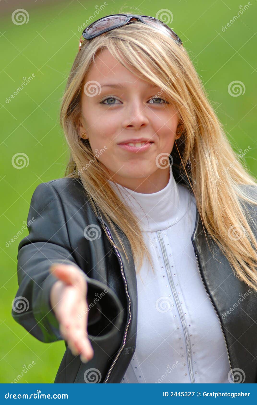 Groet stock afbeelding. Image of overtuigend, groen, waarborg - 2445327