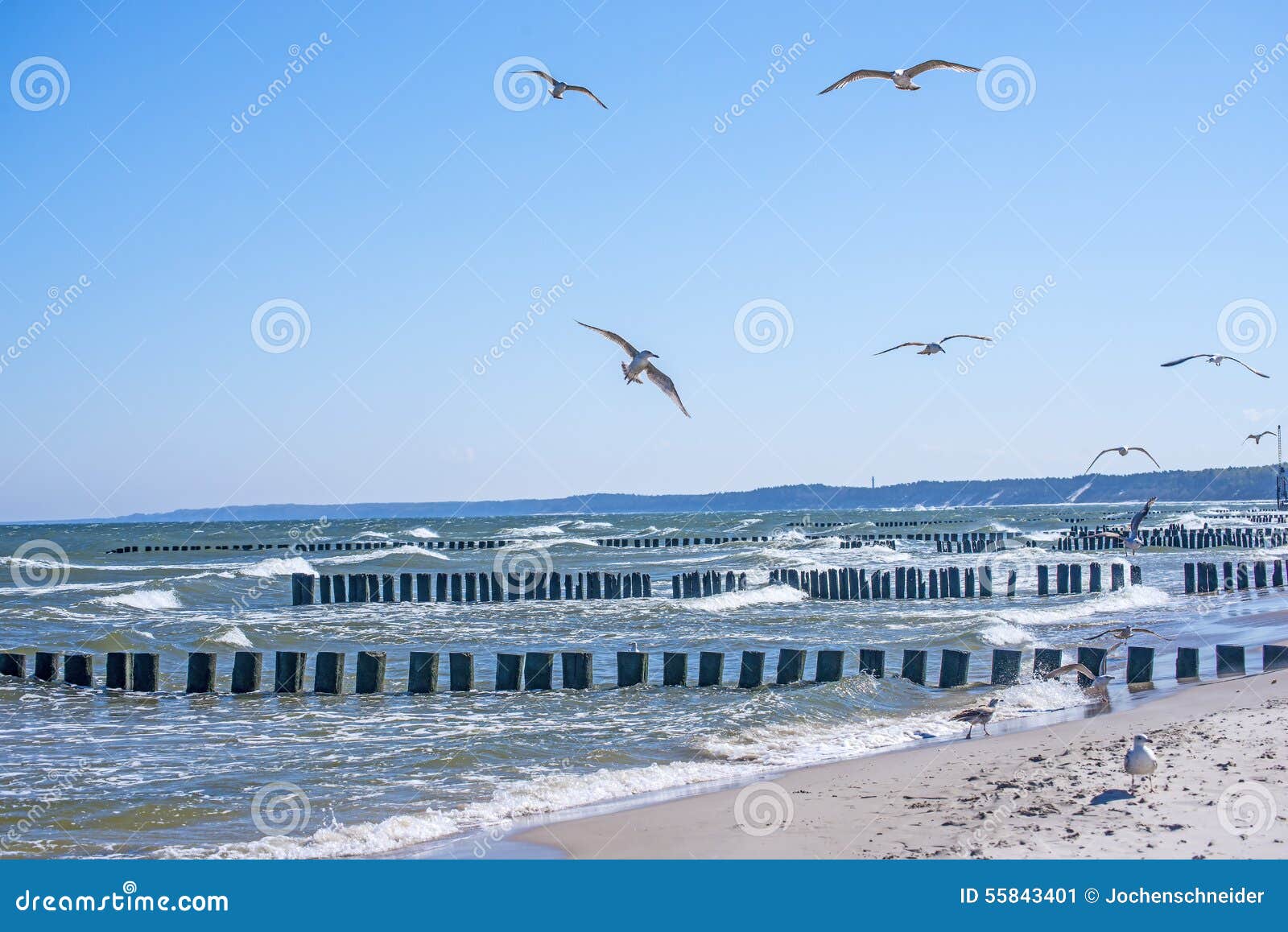 Groins in the Baltic Sea with Gulls Stock Image - Image of strong ...