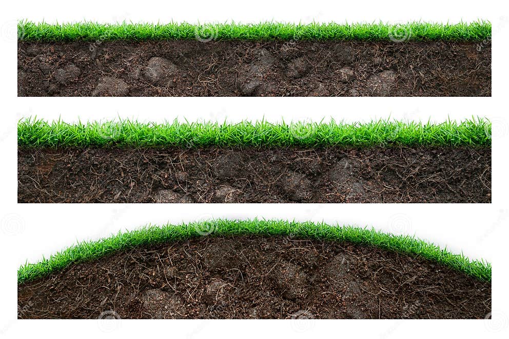 Grond en Groen Gras stock afbeelding. Image of begrip - 51076041