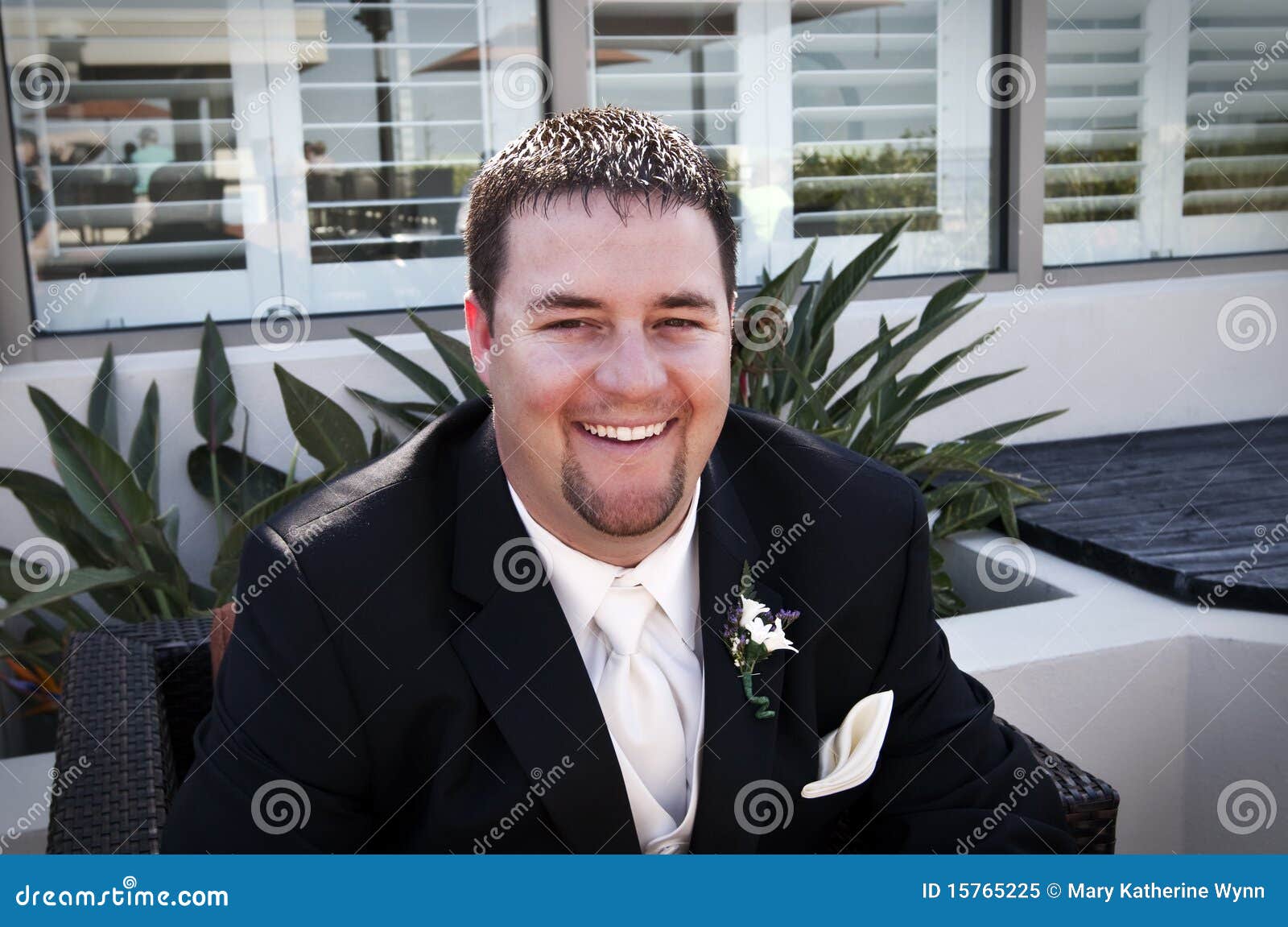 Groom stock image. Image of nature, cool, relaxed, groom - 15765225