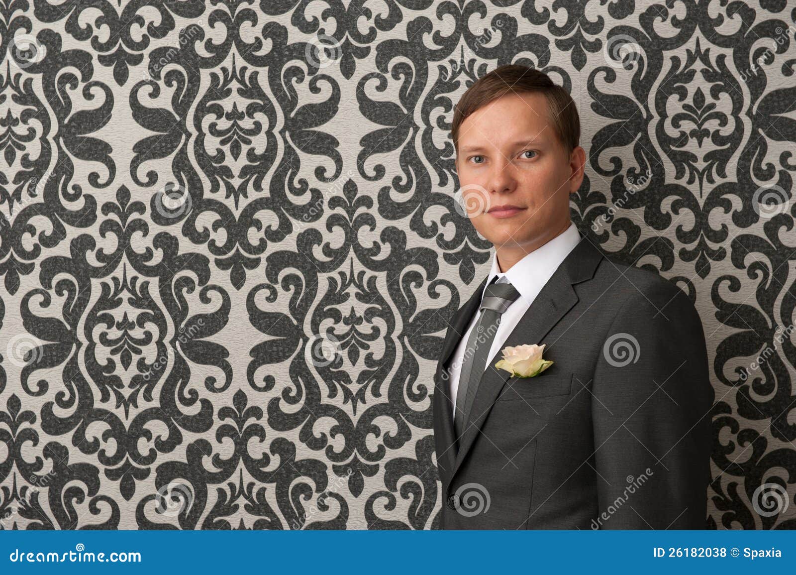 Groom stock photo. Image of fashion, wallpaper, elegance - 26182038