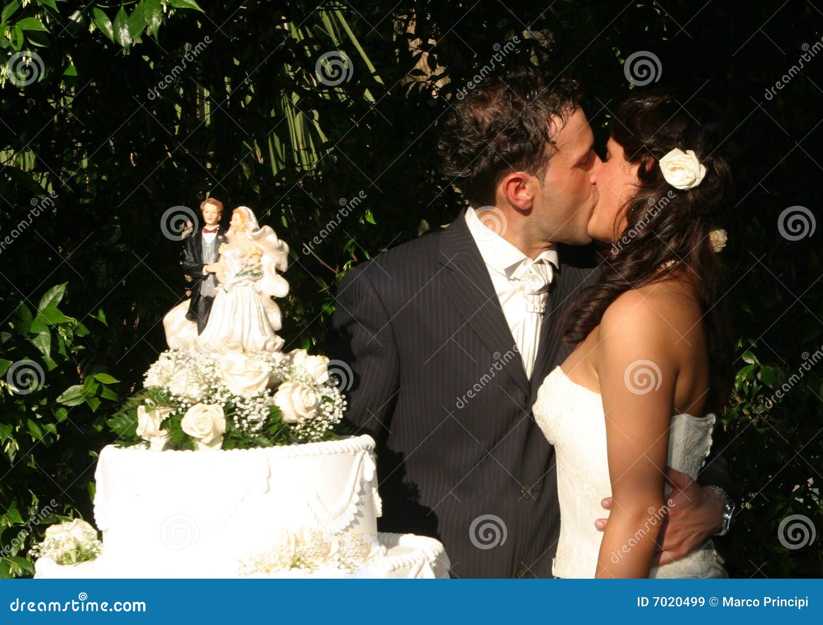 Groom and bride kissing stock image. Image of fiance, beauty - 7020499