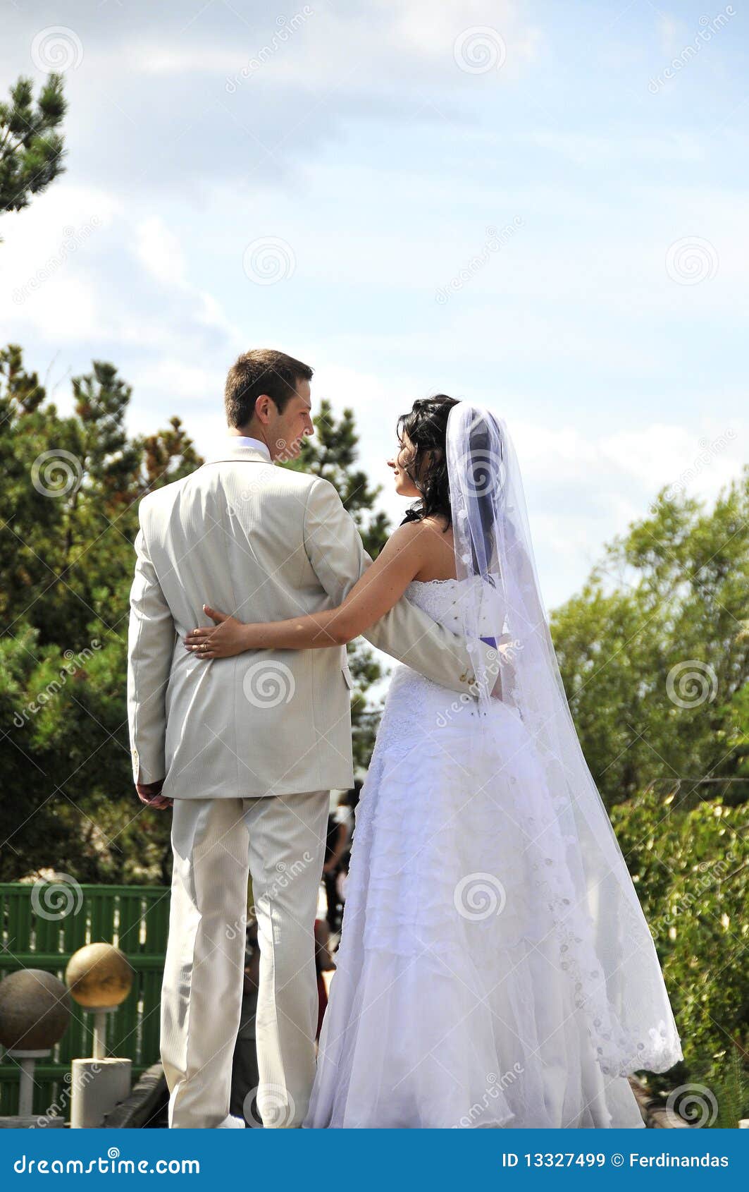 Groom and Bride in Park Background from Back Stock Image - Image of ...