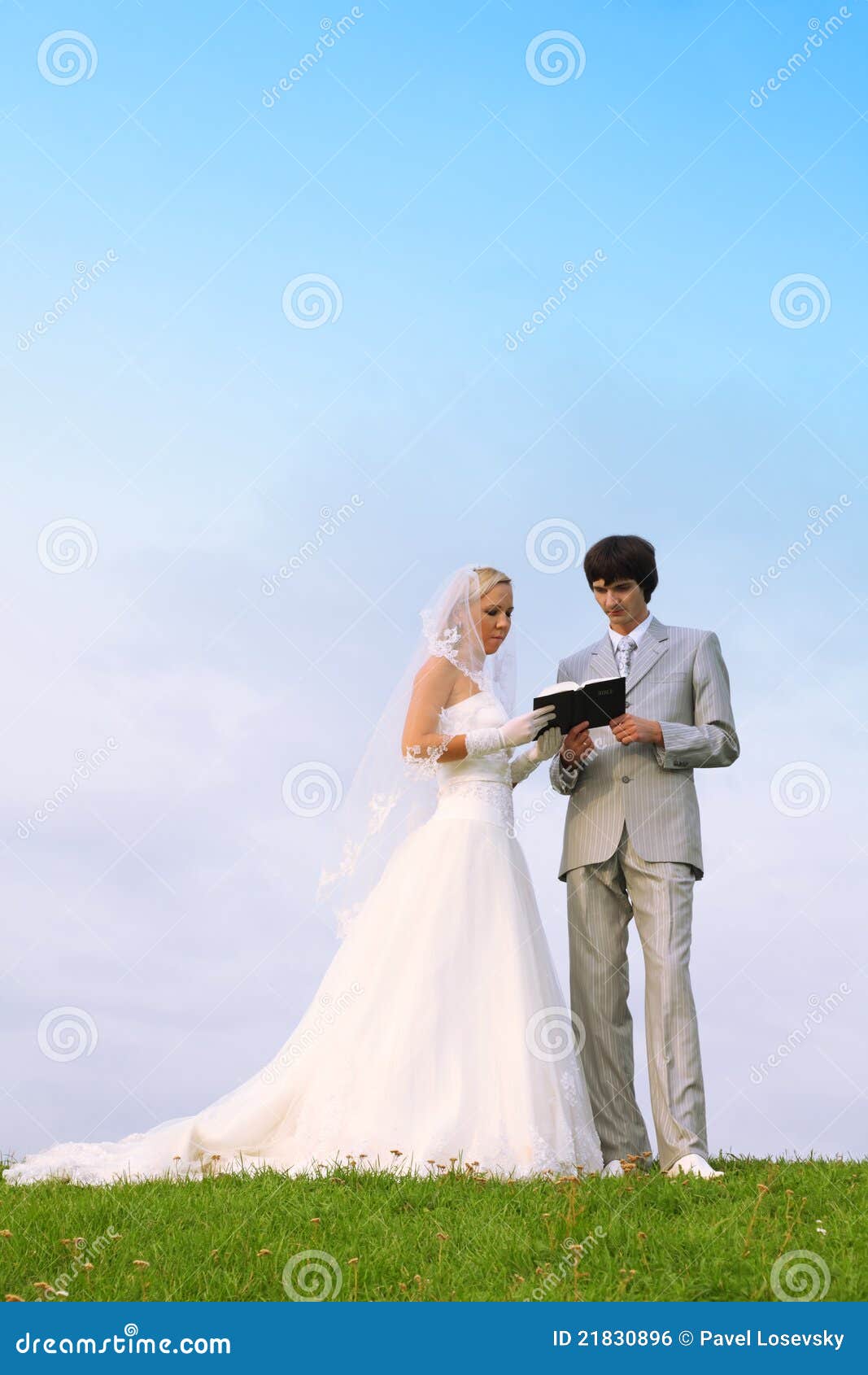 Groom and Bride Read Bible Together Stock Photo - Image of couple ...
