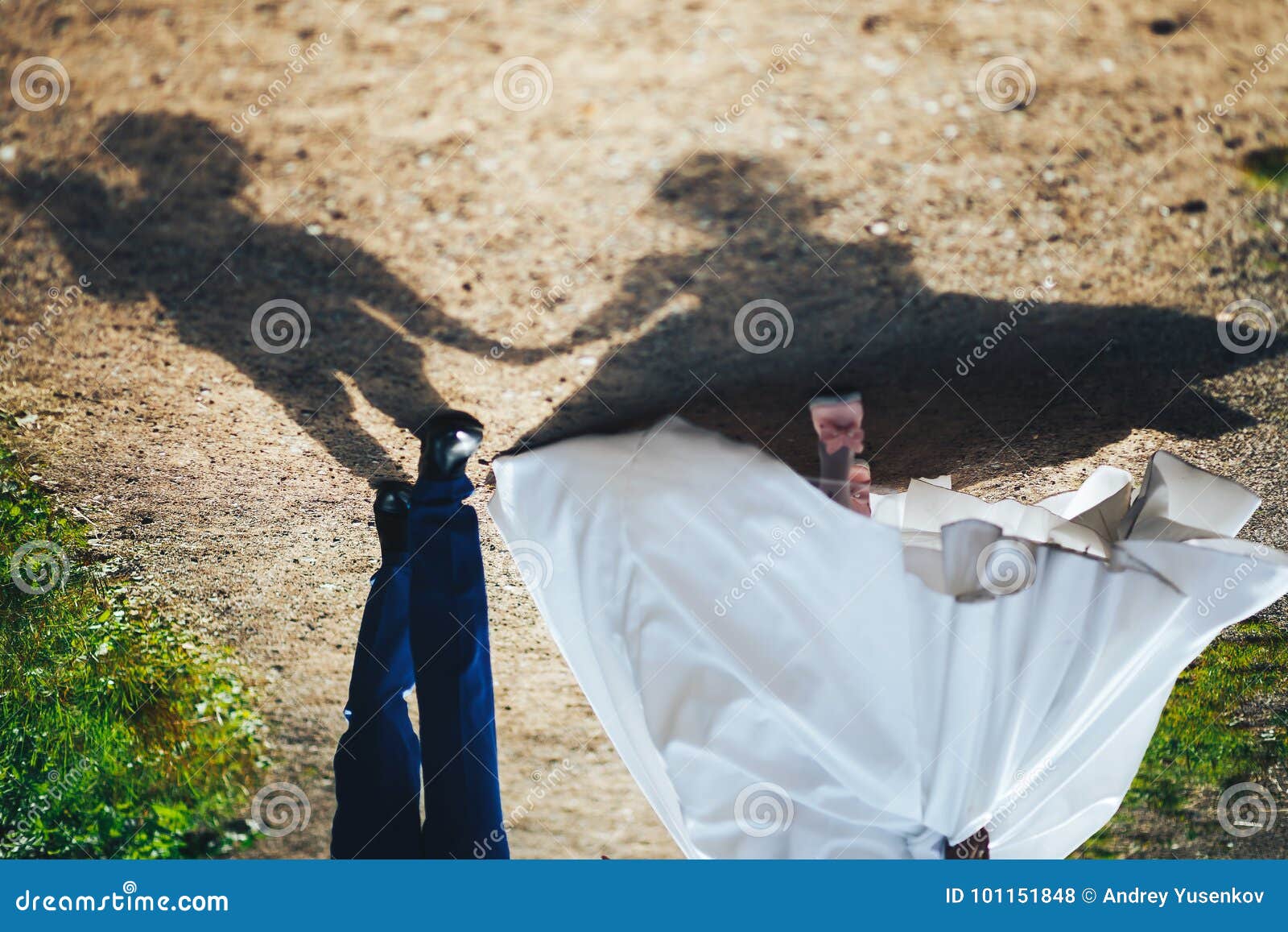 The Groom the Bride the Shadows Stock Photo - Image of beautiful ...