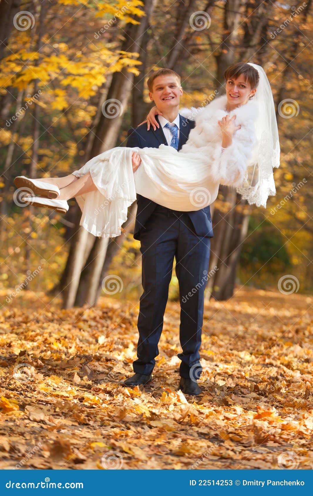 Groom carries his bride stock image. Image of closeup - 22514253