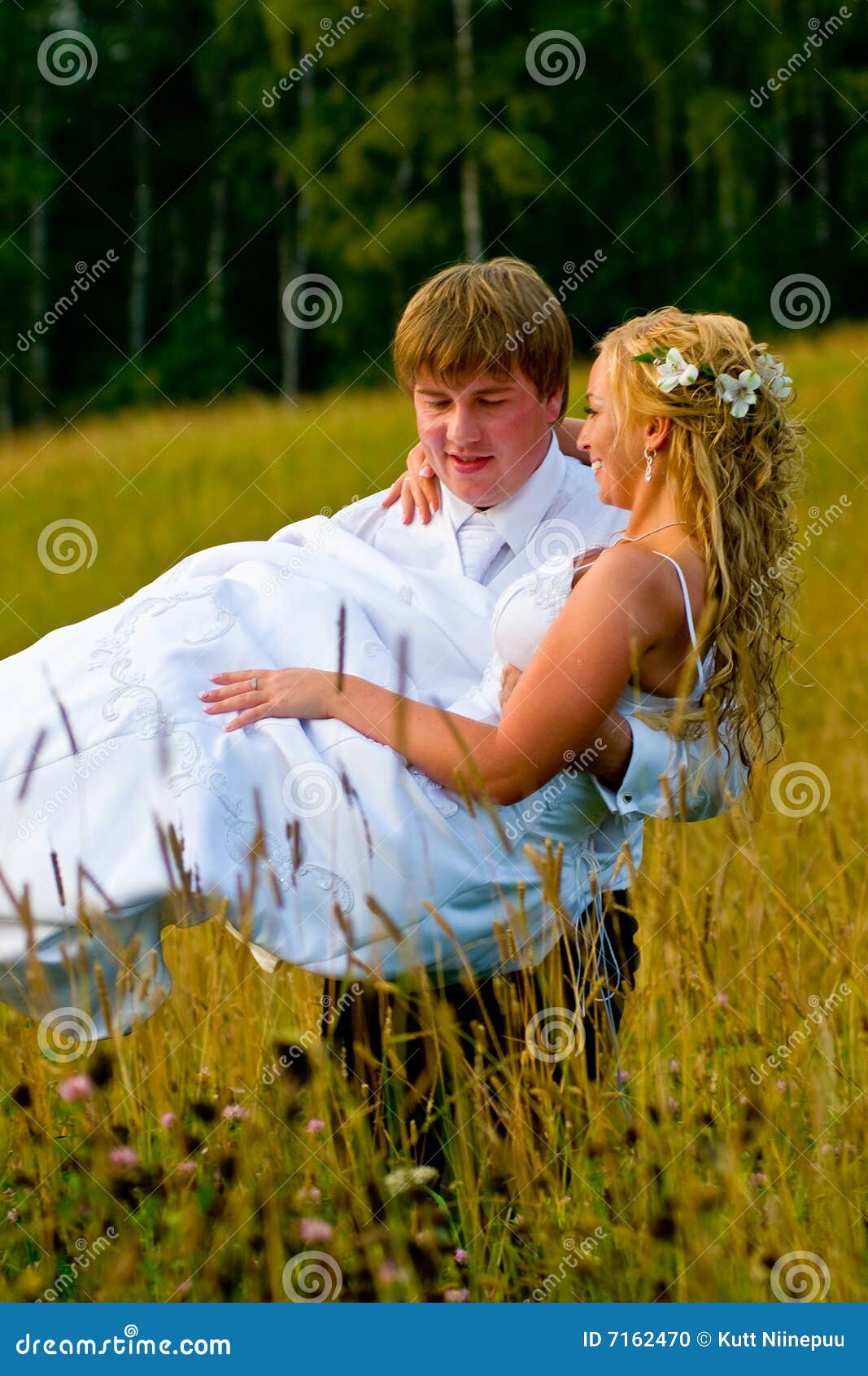 Groom carrying bride stock photo. Image of beauty, love - 7162470