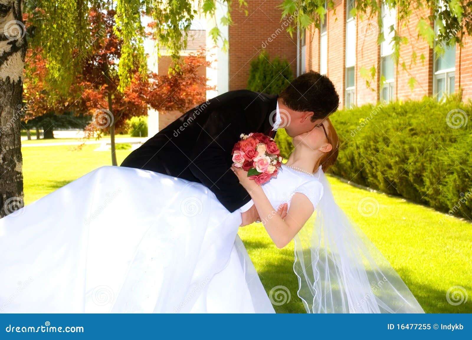 Groom dipping wife stock image. Image of kissing, young - 16477255