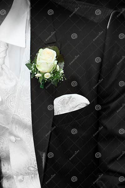 Groom with flower on lapel stock photo. Image of evening - 14832842