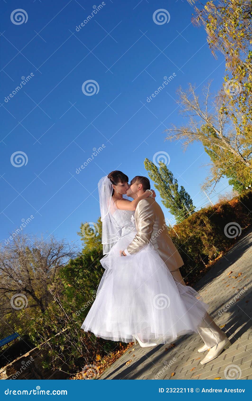 The Groom Kisses the Bride. Autumn. a Leaf Fall Stock Photo - Image of ...