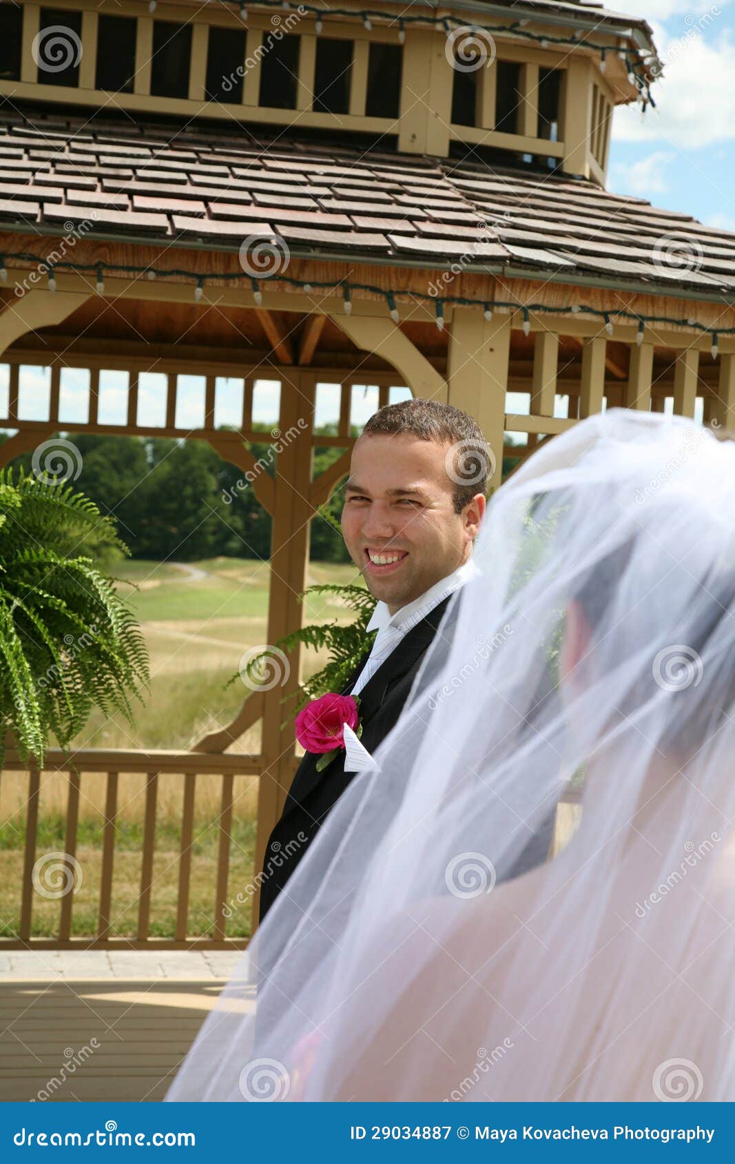 Groom looking at Bride stock image. Image of excited - 29034887