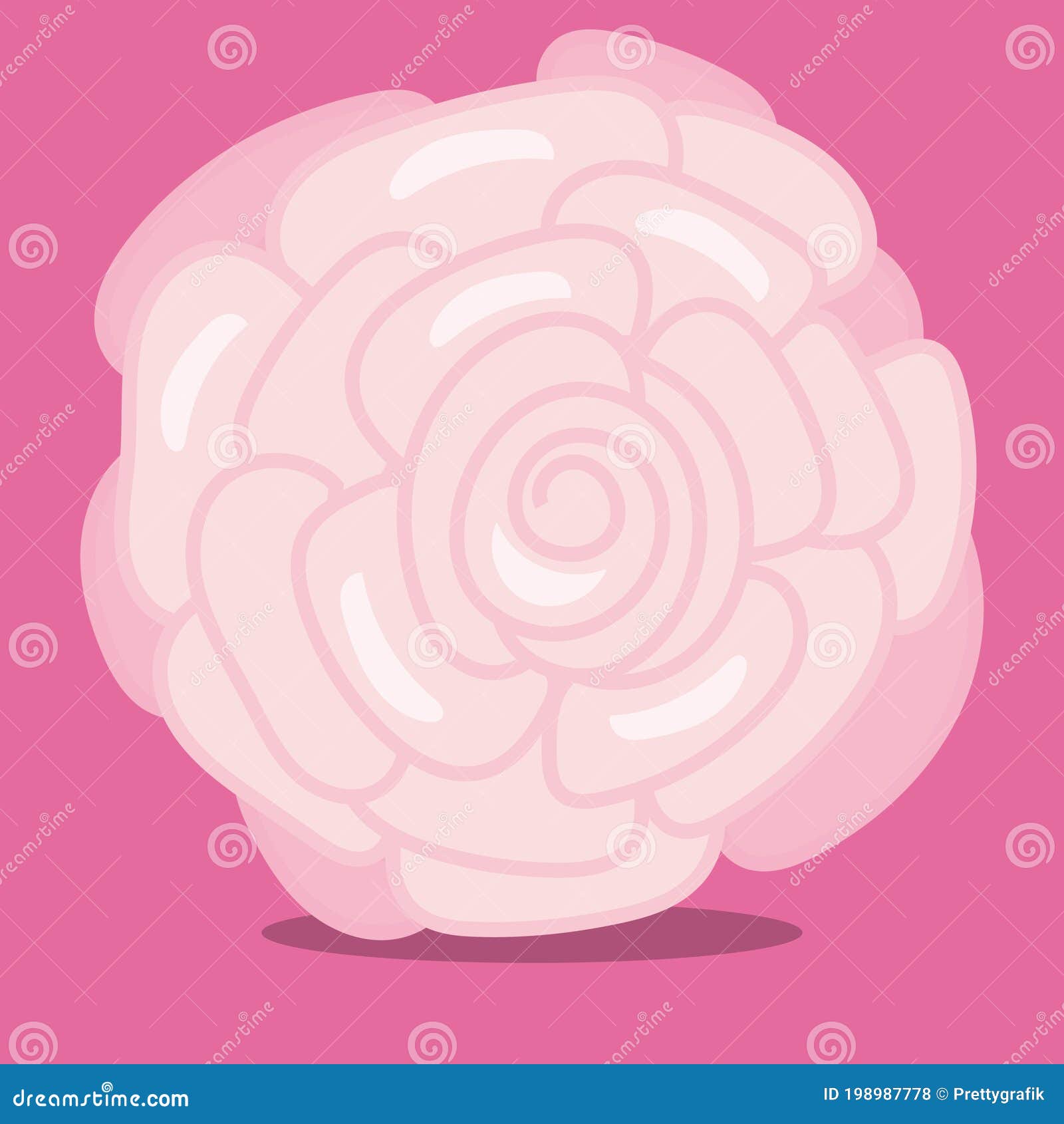 Groom rose=16 stock vector. Illustration of vector, groom - 198987778