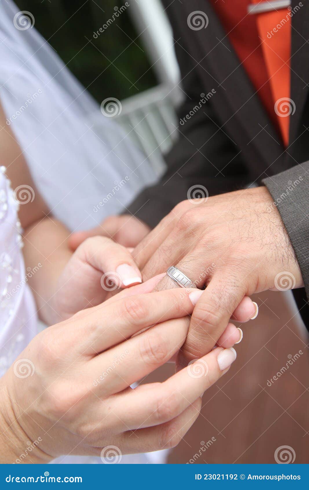 Groom s wedding ring stock photo. Image of love, hold - 23021192