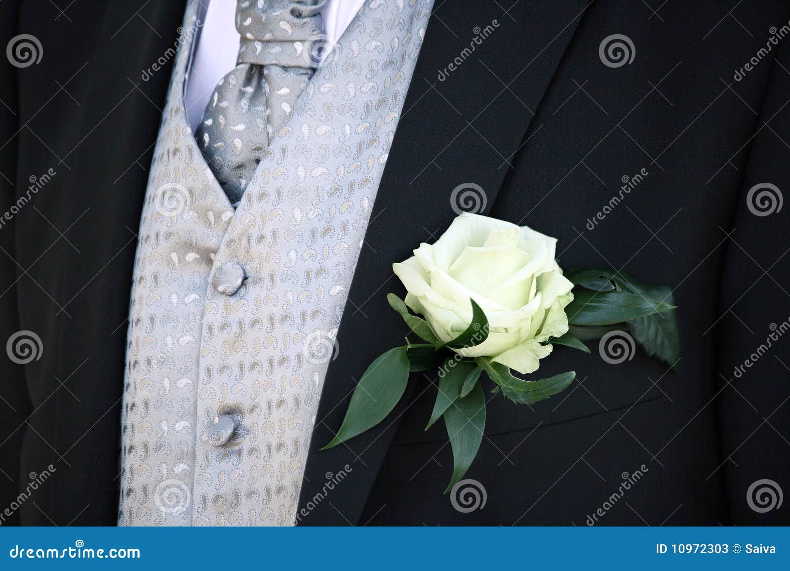Groom suit stock image. Image of button, rose, stem, boutonniere - 10972303