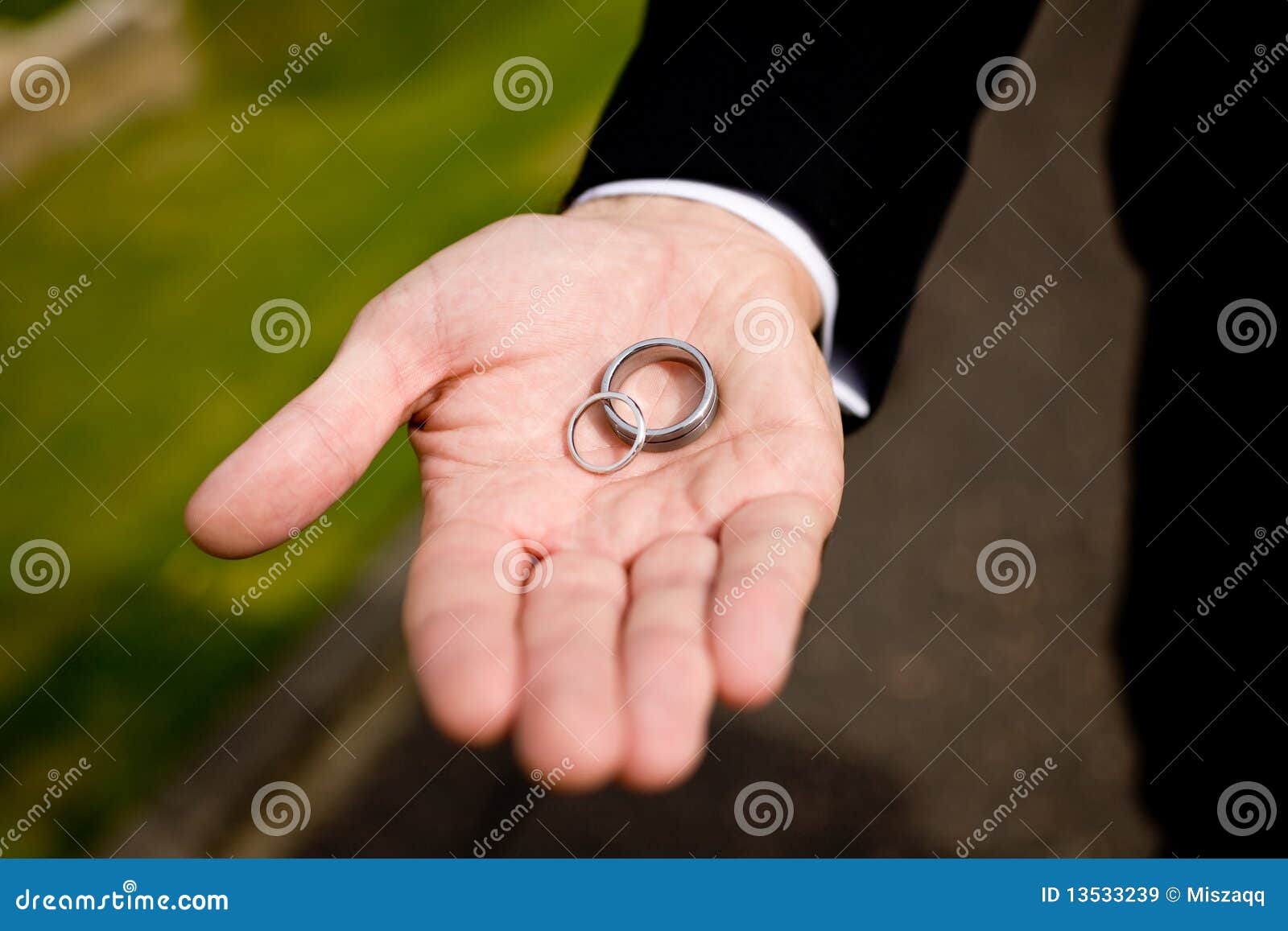 Groom and wedding rings stock image. Image of love, gold - 13533239