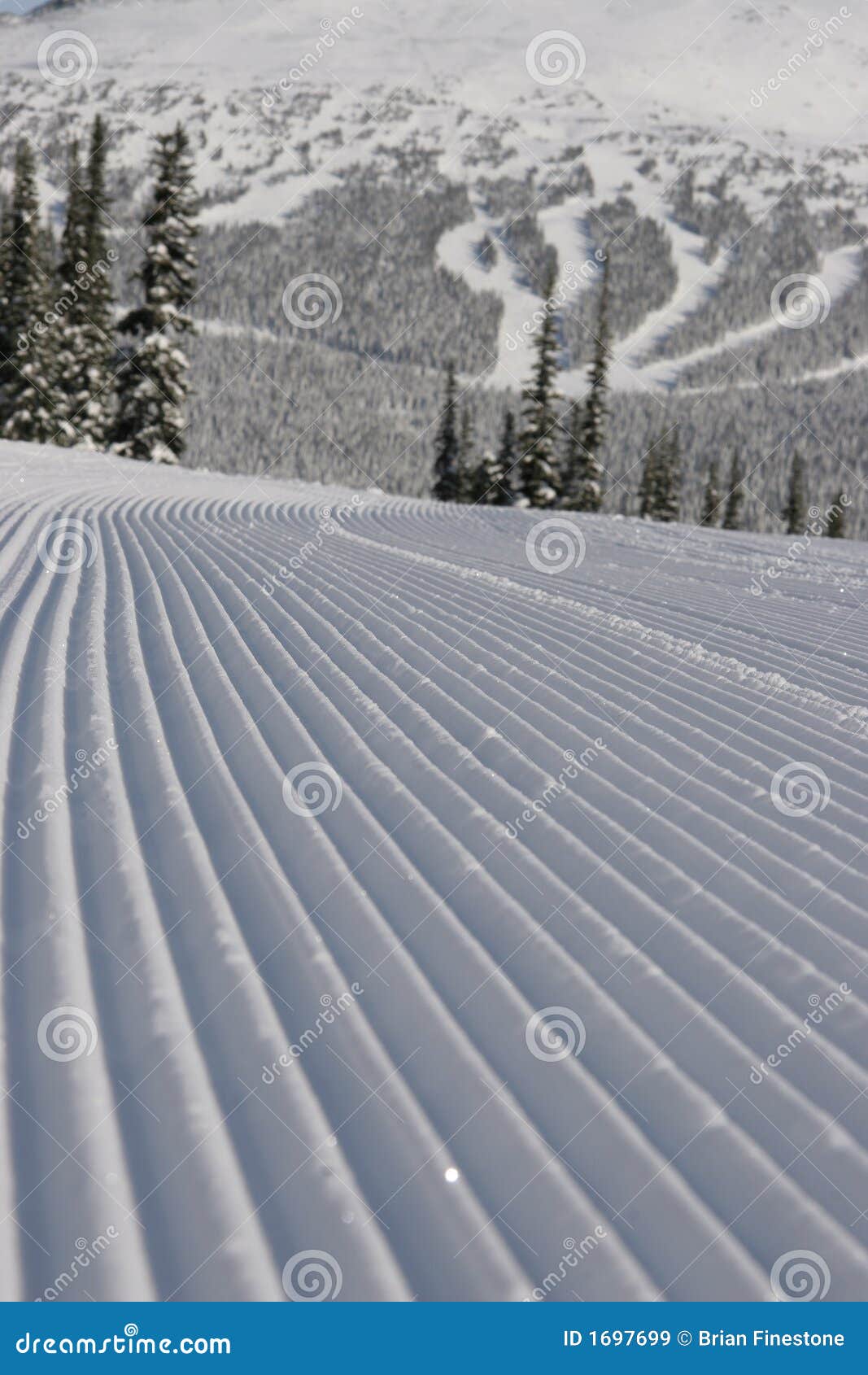 Groomed Ski Run stock image. Image of trail, snowboarding - 1697699