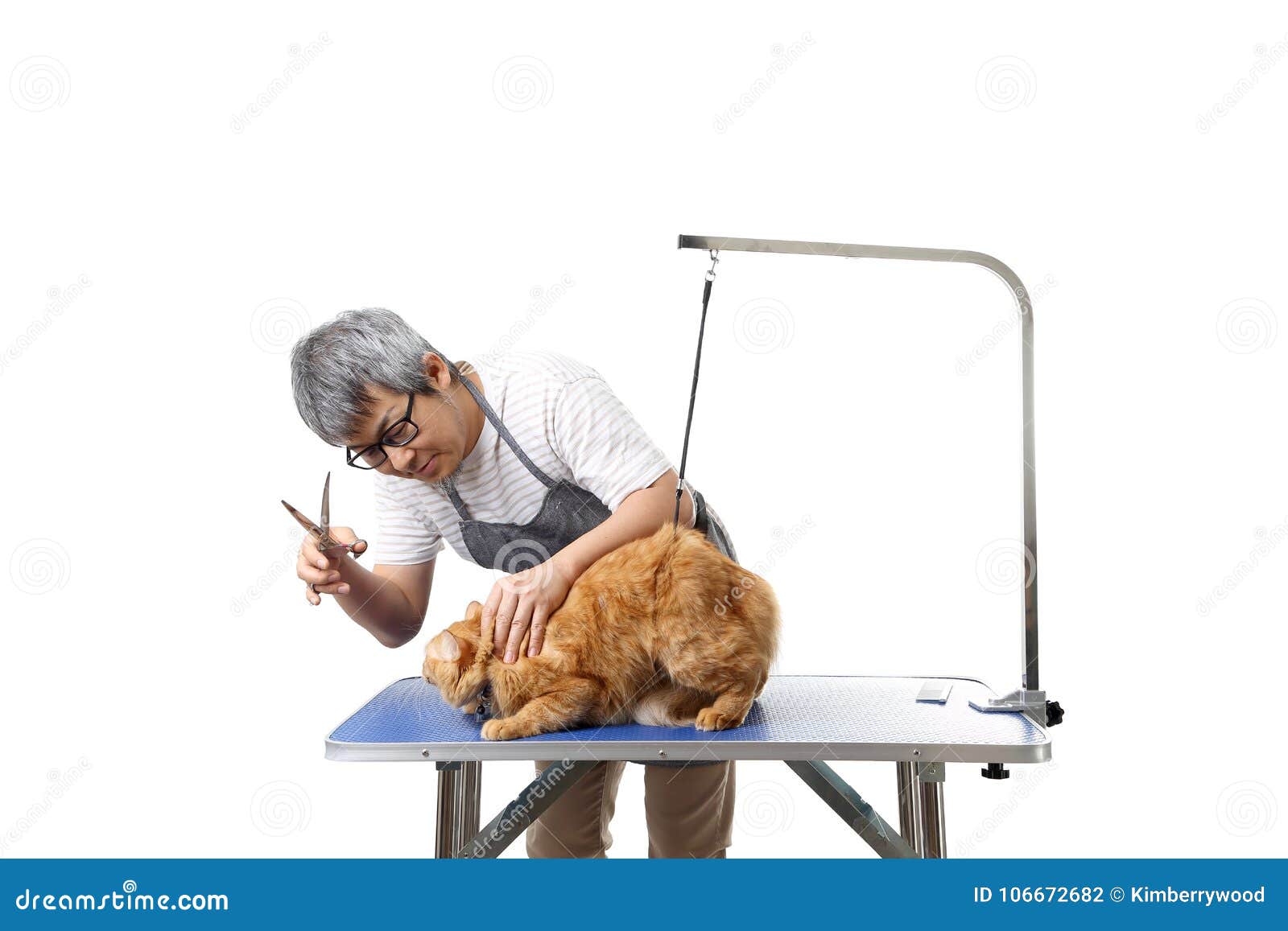 Groomer foto de stock. Imagem de pequeno, fundo, carreira - 106672682