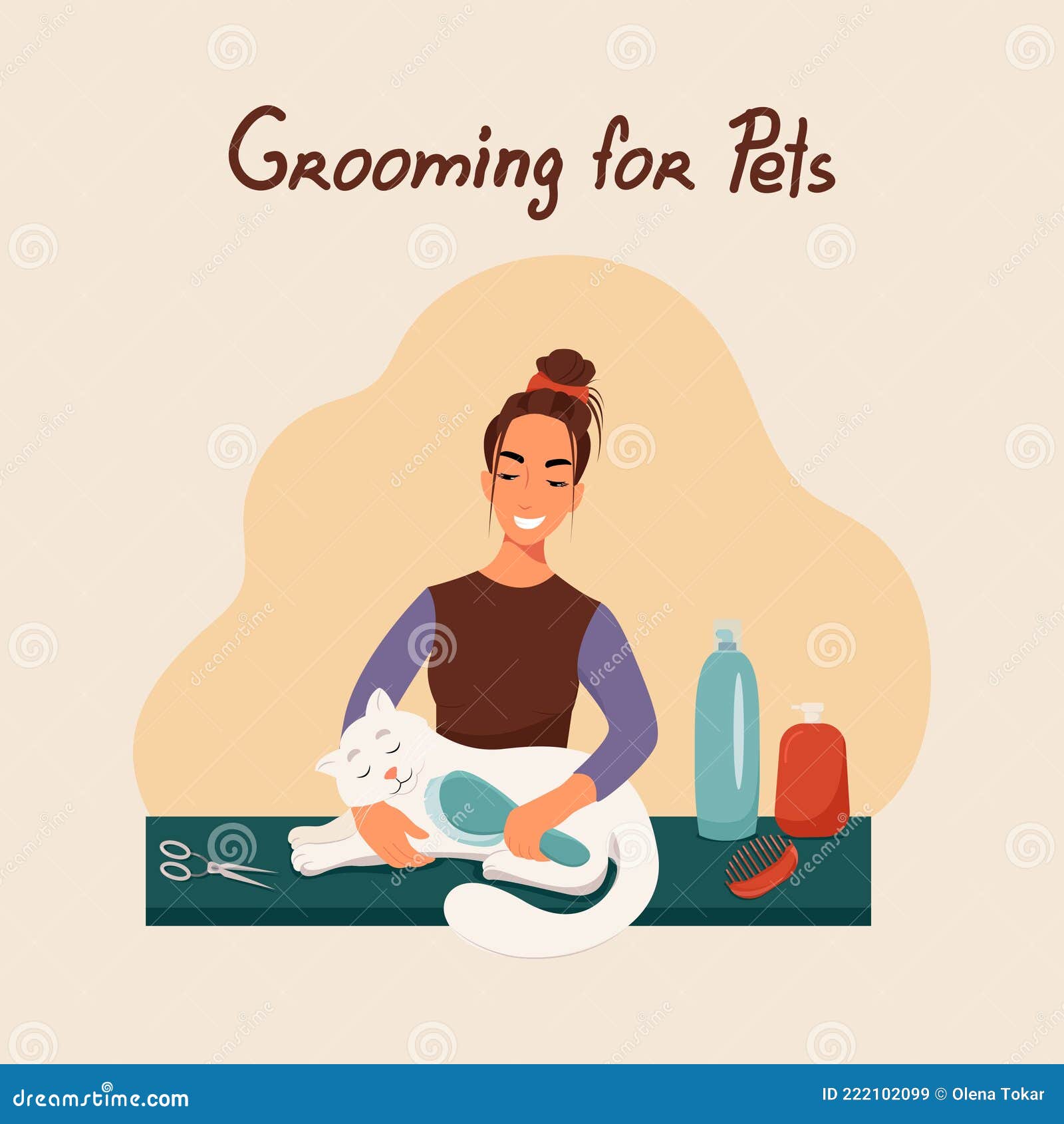 Grooming for Pets, Girl Combs a Cat, Vector Illustration in Flat Styl ...