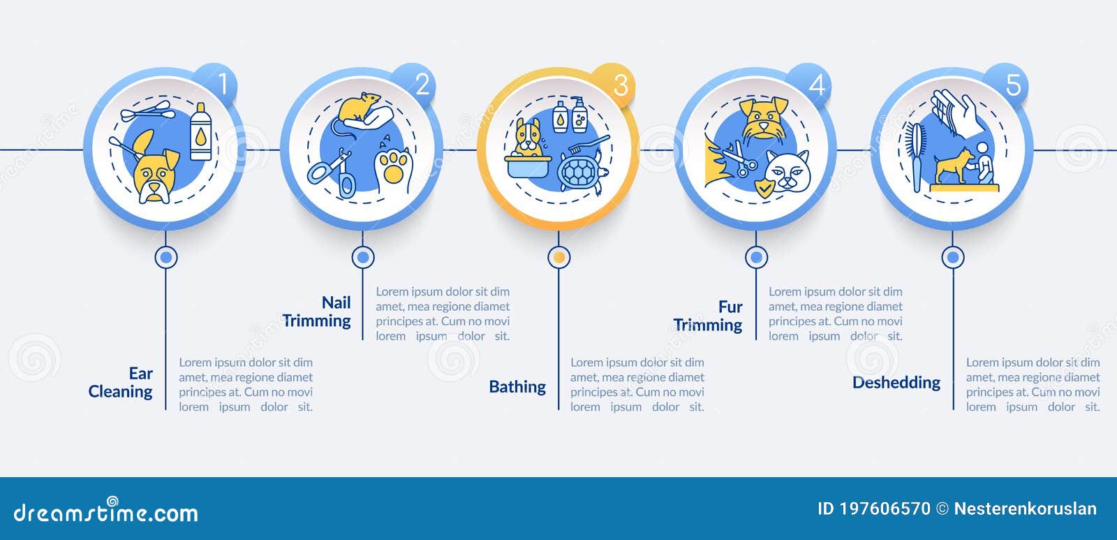 Grooming Services Types Vector Infographic Template Stock Vector ...
