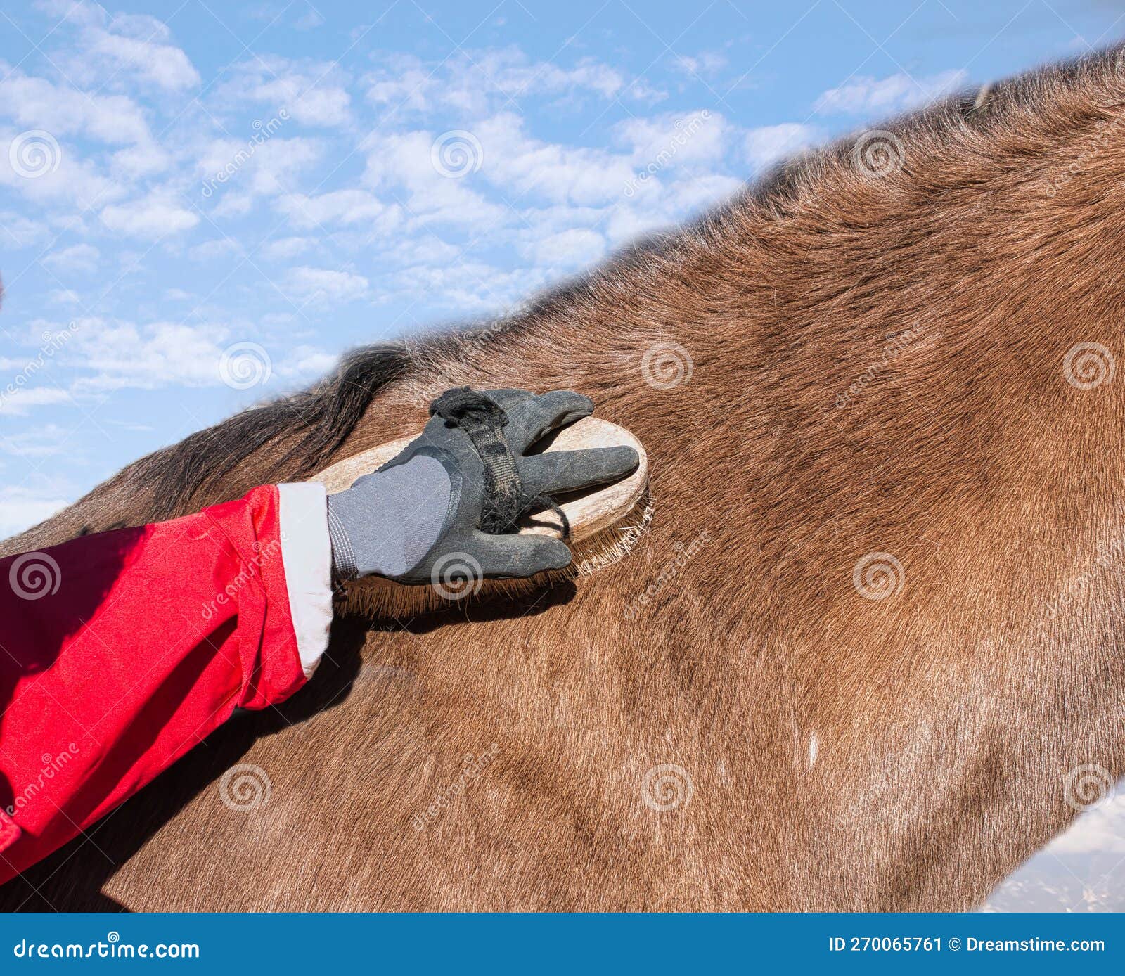 Grooming with sky stock image. Image of caucasian, happy - 270065761