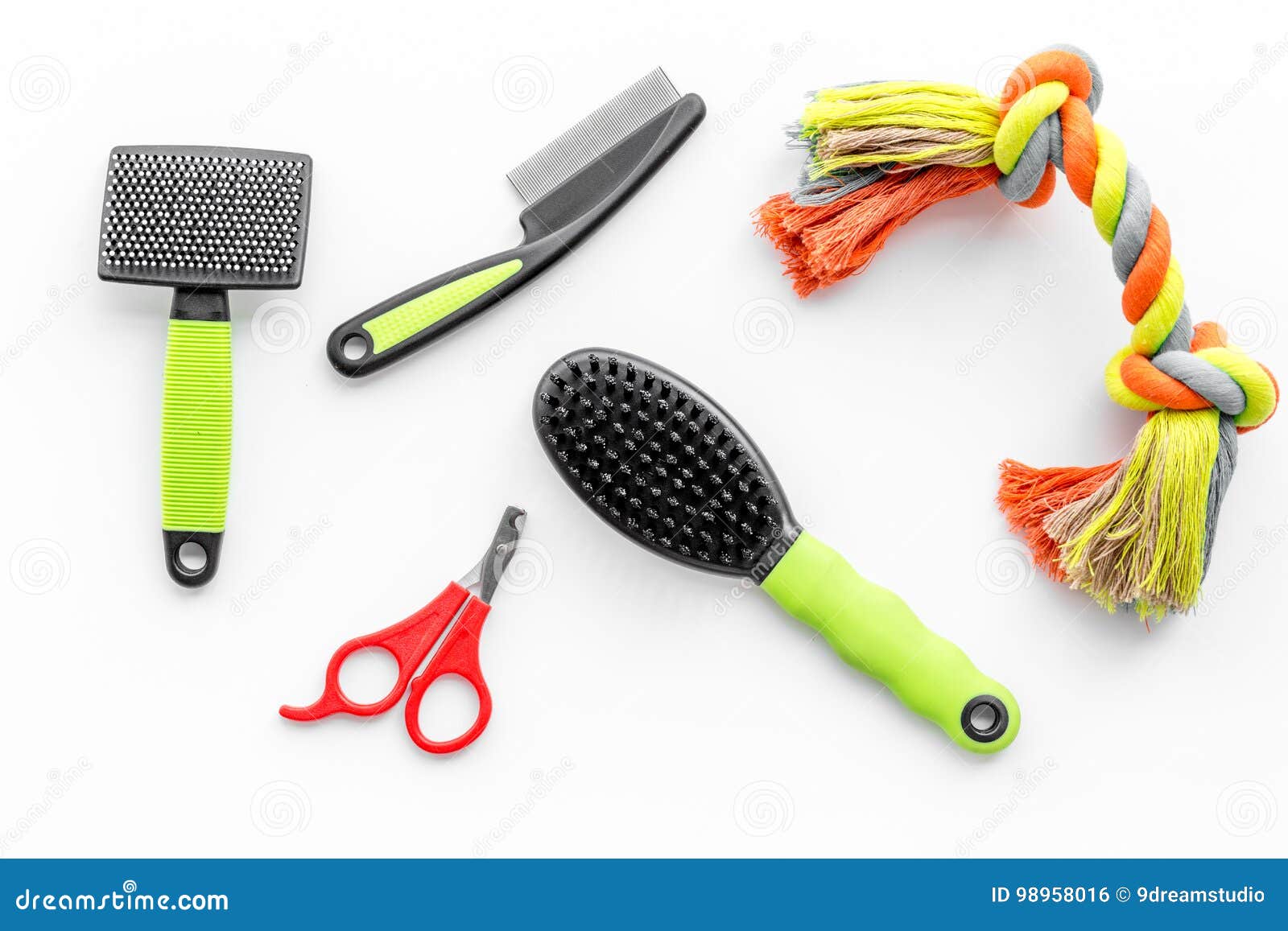 Grooming Tools for Training Pet and Brushes on White Background Top ...