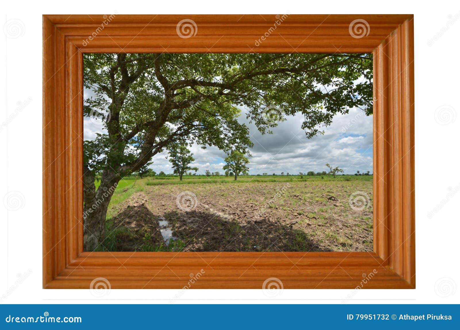 Groot Boom En Gebiedsbeeld in Teakkader Stock Foto - Image of ontwerp ...