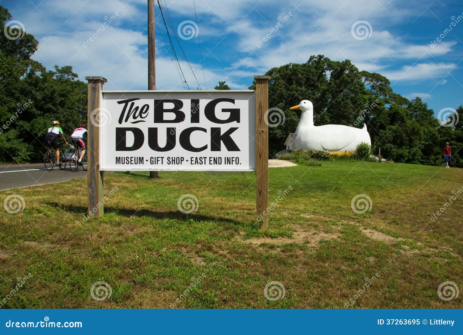 Groot Duck Long Island redactionele afbeelding. Image of architectuur ...