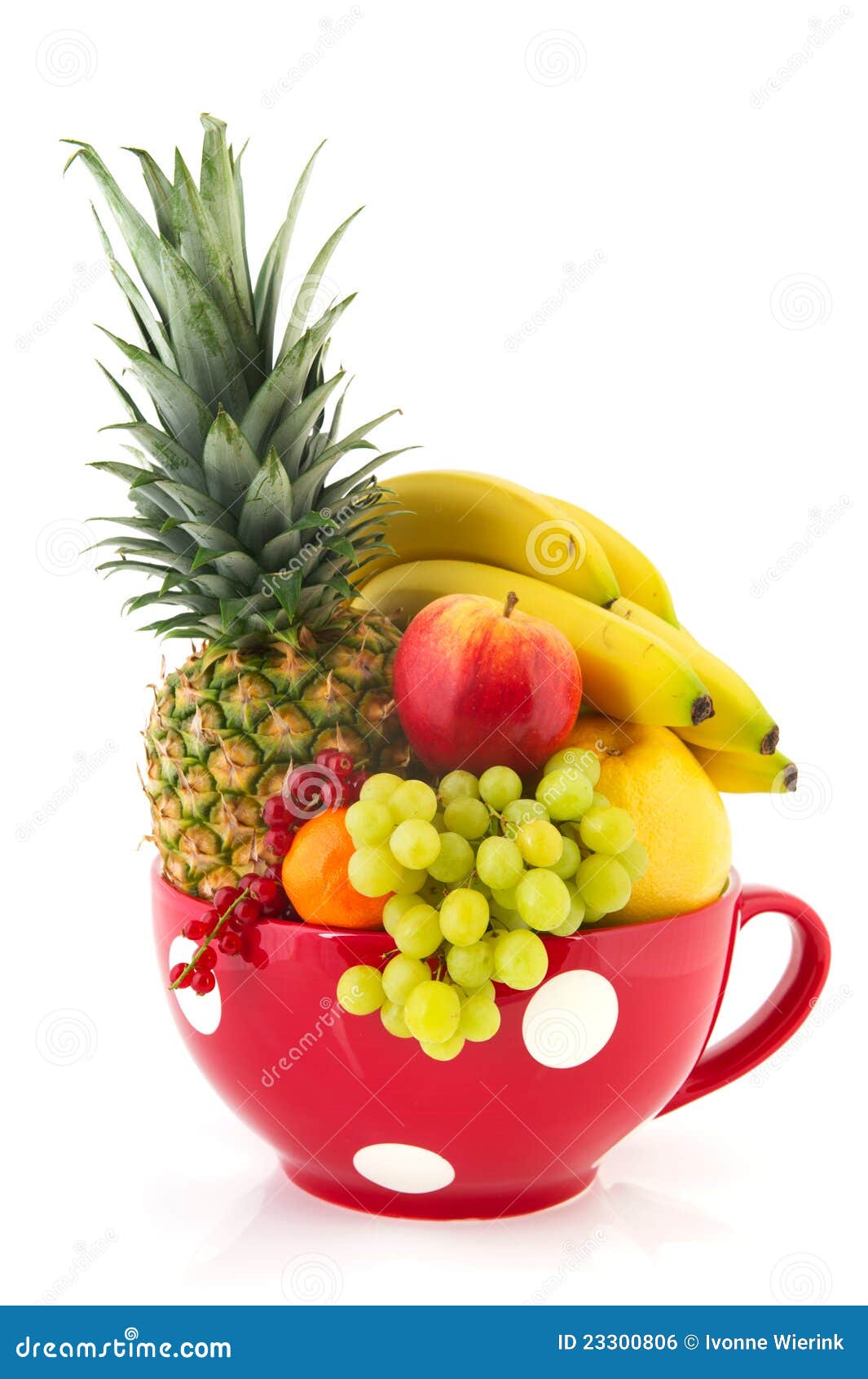 Groot kop divers fruit stock foto. Image of voedsel, aardewerk - 23300806