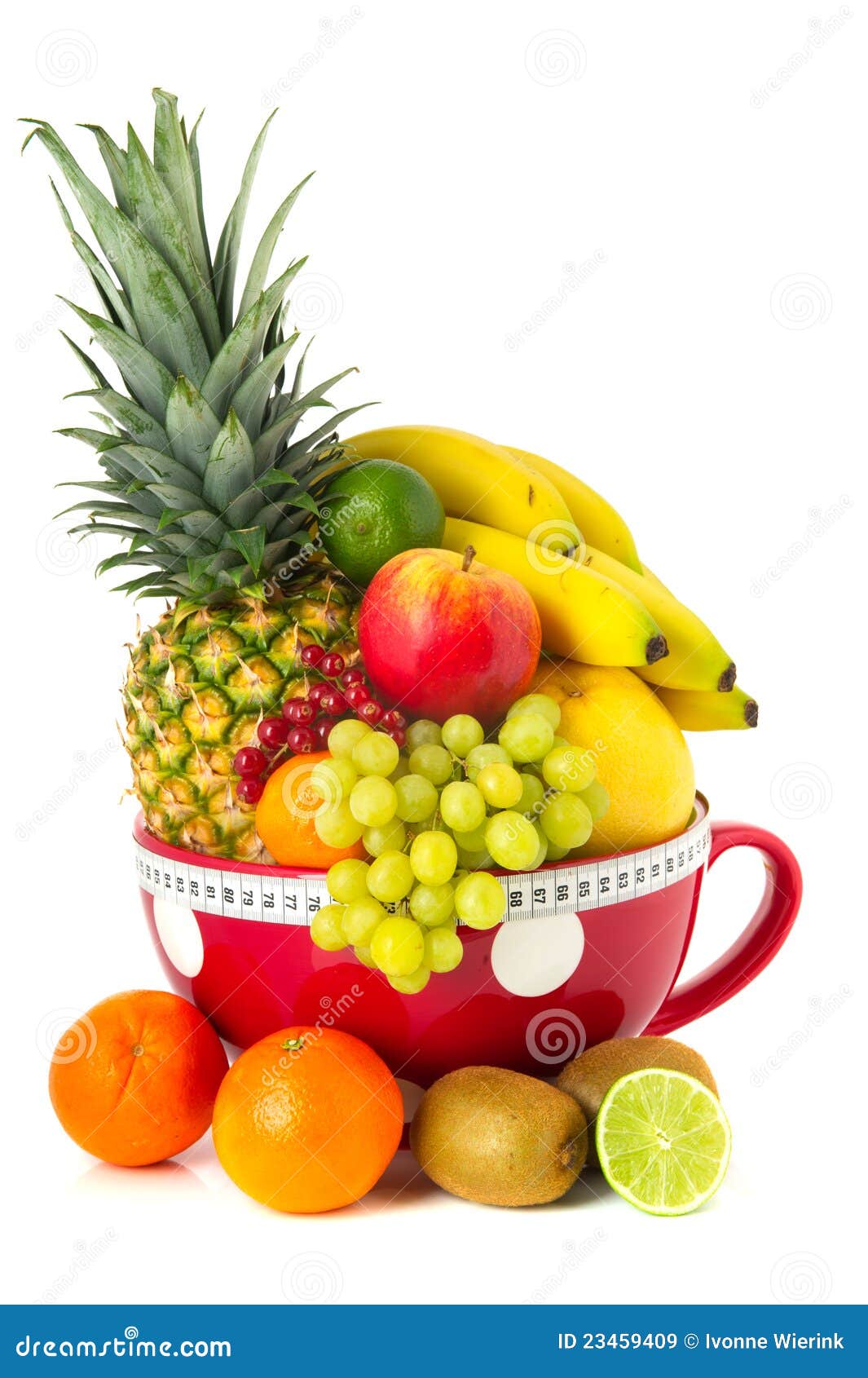 Groot kop divers fruit stock afbeelding. Image of schotel - 23459409