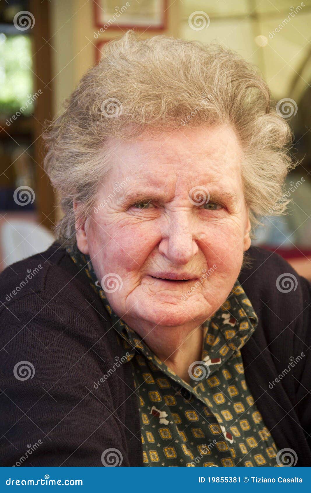 Grootmoeder stock afbeelding. Image of generatie, oudste - 19855381