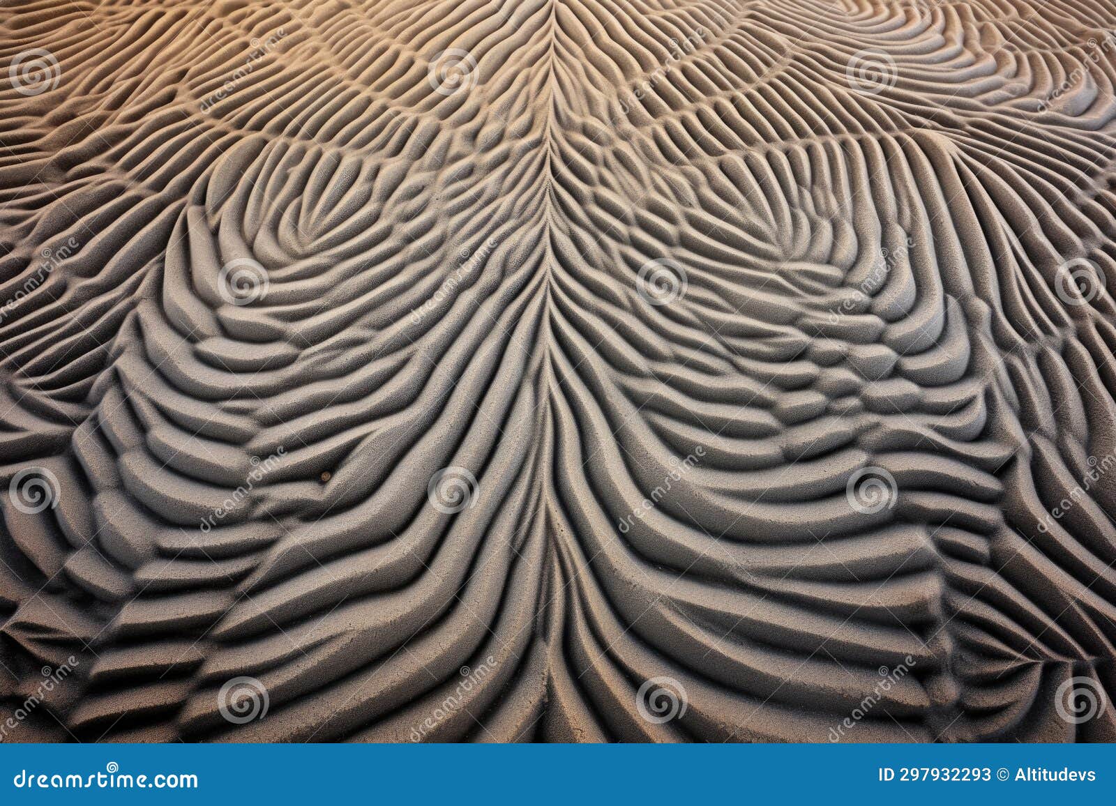 Grooved Pattern of a Clamshell Lying on Sea Floor Stock Image - Image ...