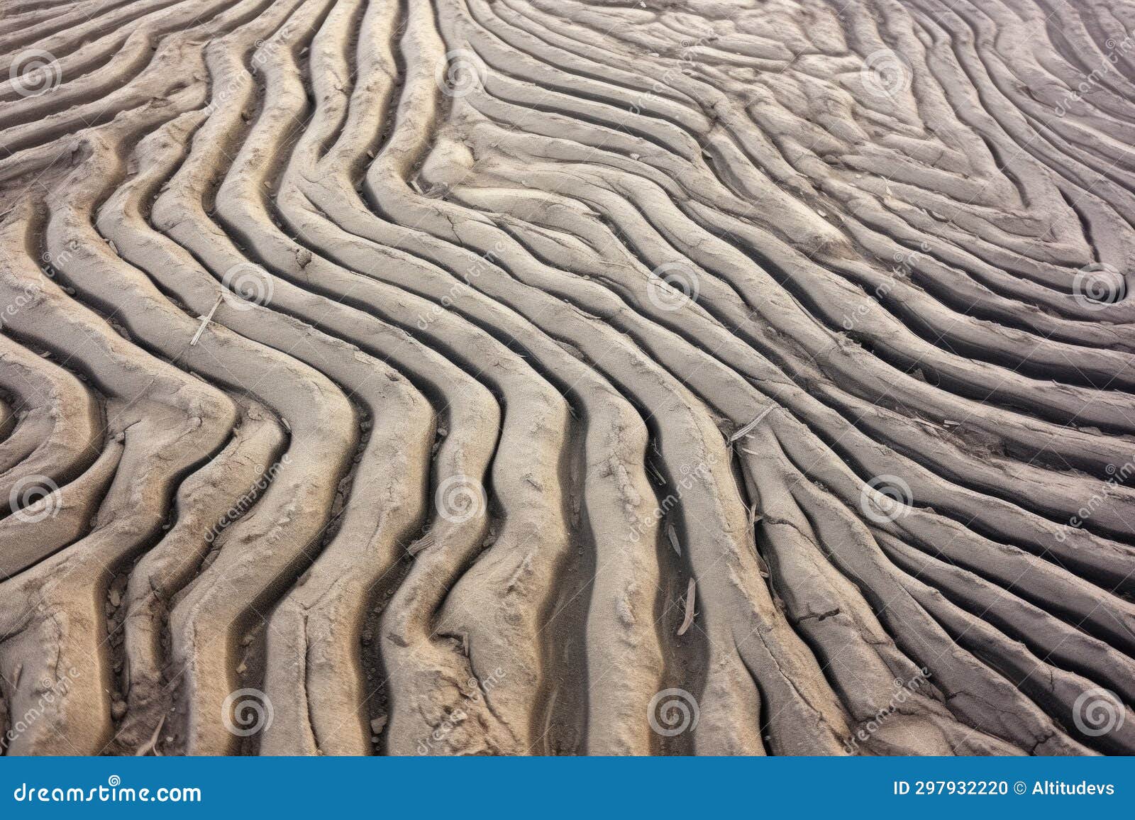 Grooves Left by a Rake in the Mud Stock Photo - Image of landscaping ...